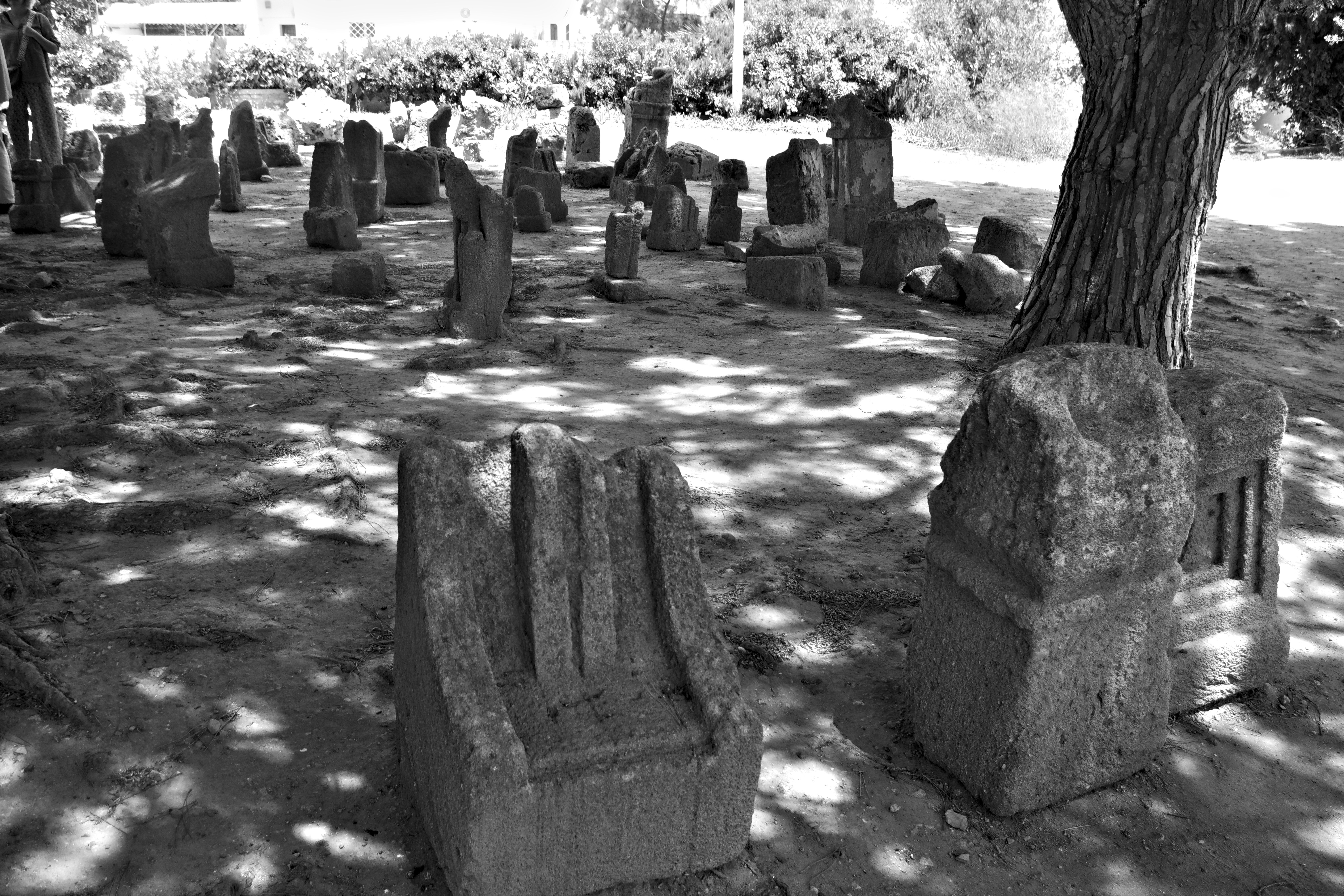 Photo by Jose Manuel Esp with Pentax K-70