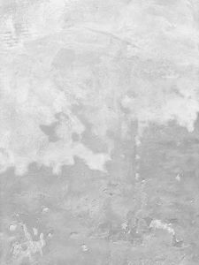 Whispers of Texture: A Monochrome Canvas
