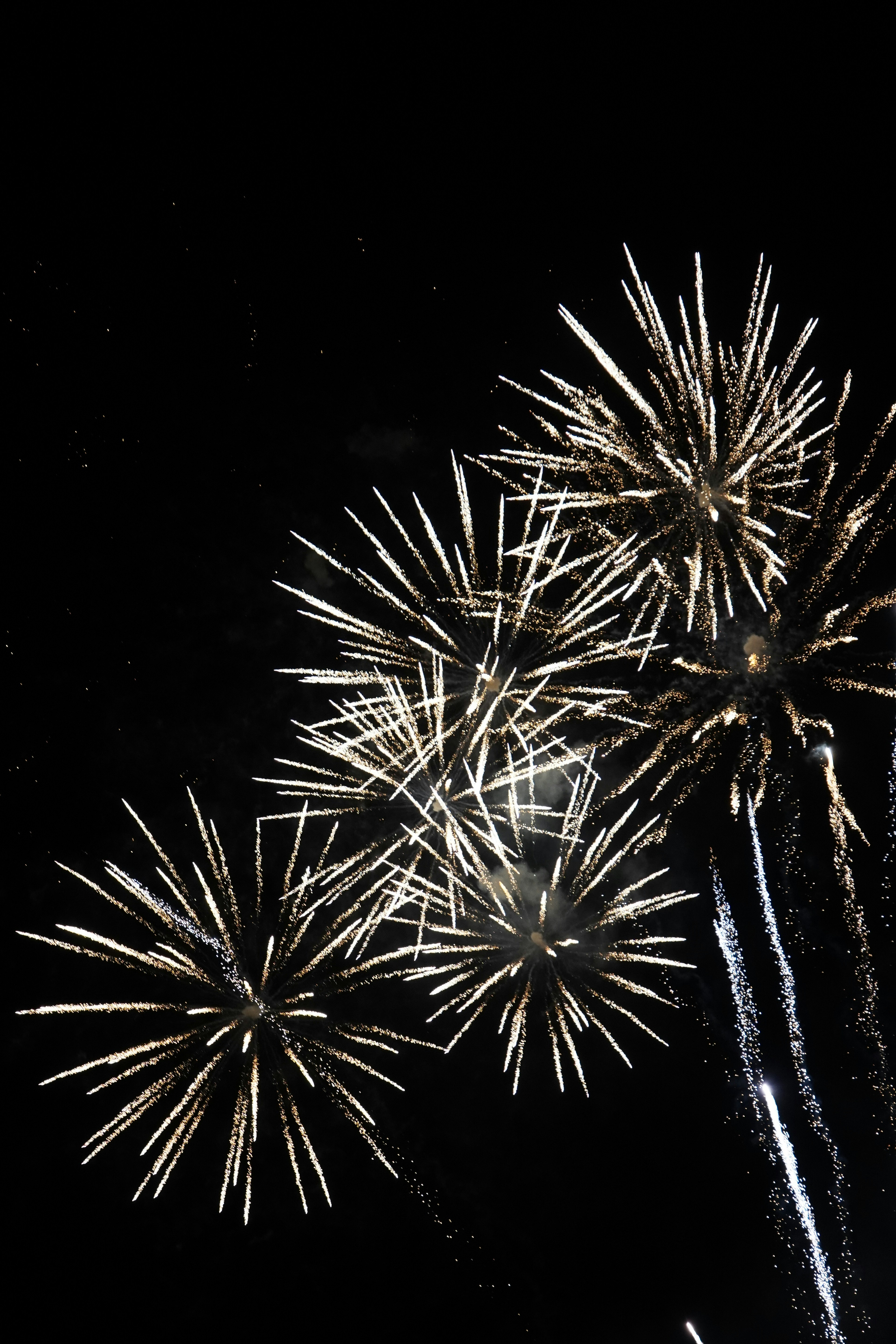 A bunch of fireworks are lit up in the night sky photo – Free Honolulu ...