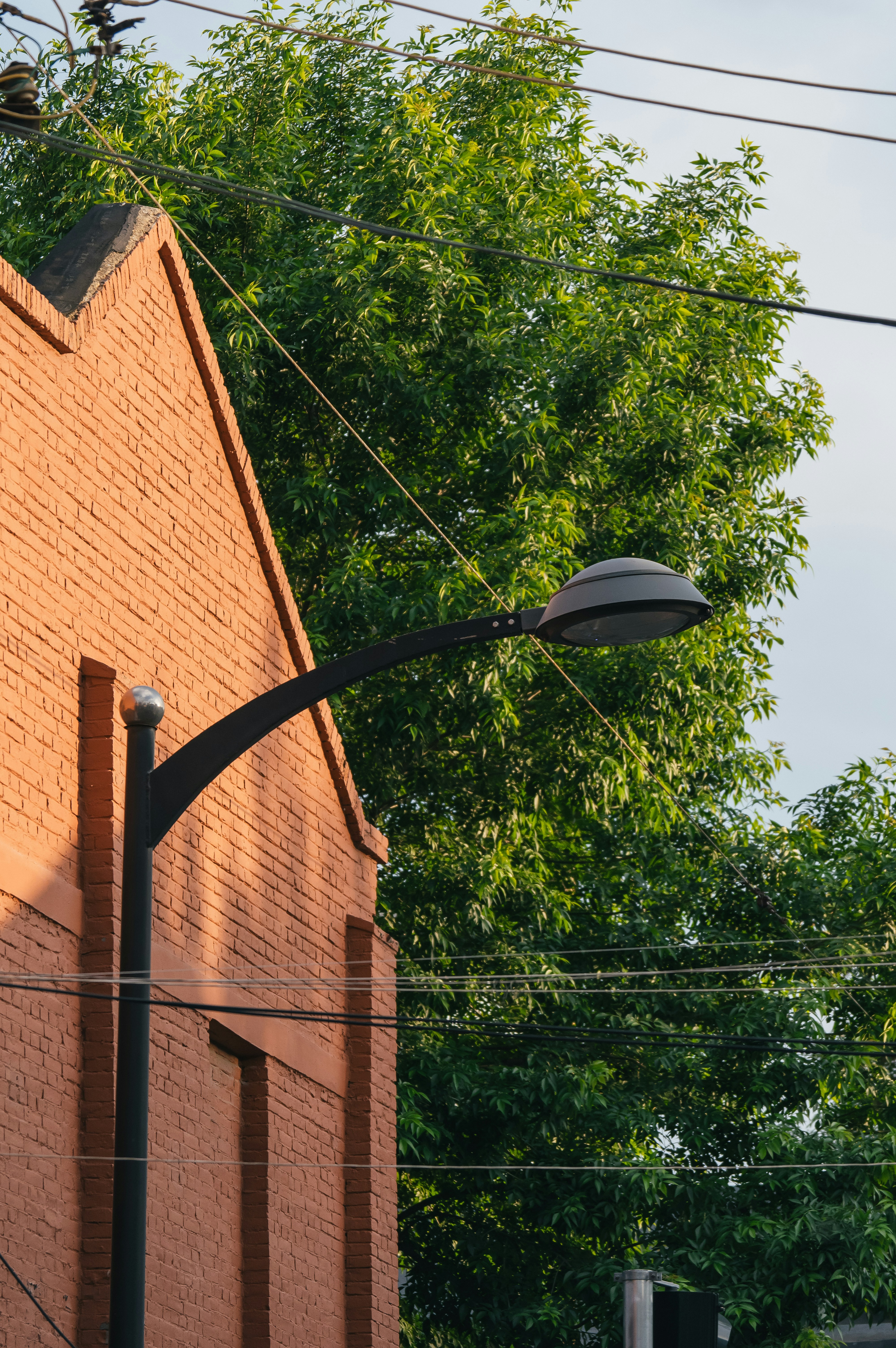 Arc of Light: A Curved Streetlamp Framing Brick Architecture Under a Verdant Canopy