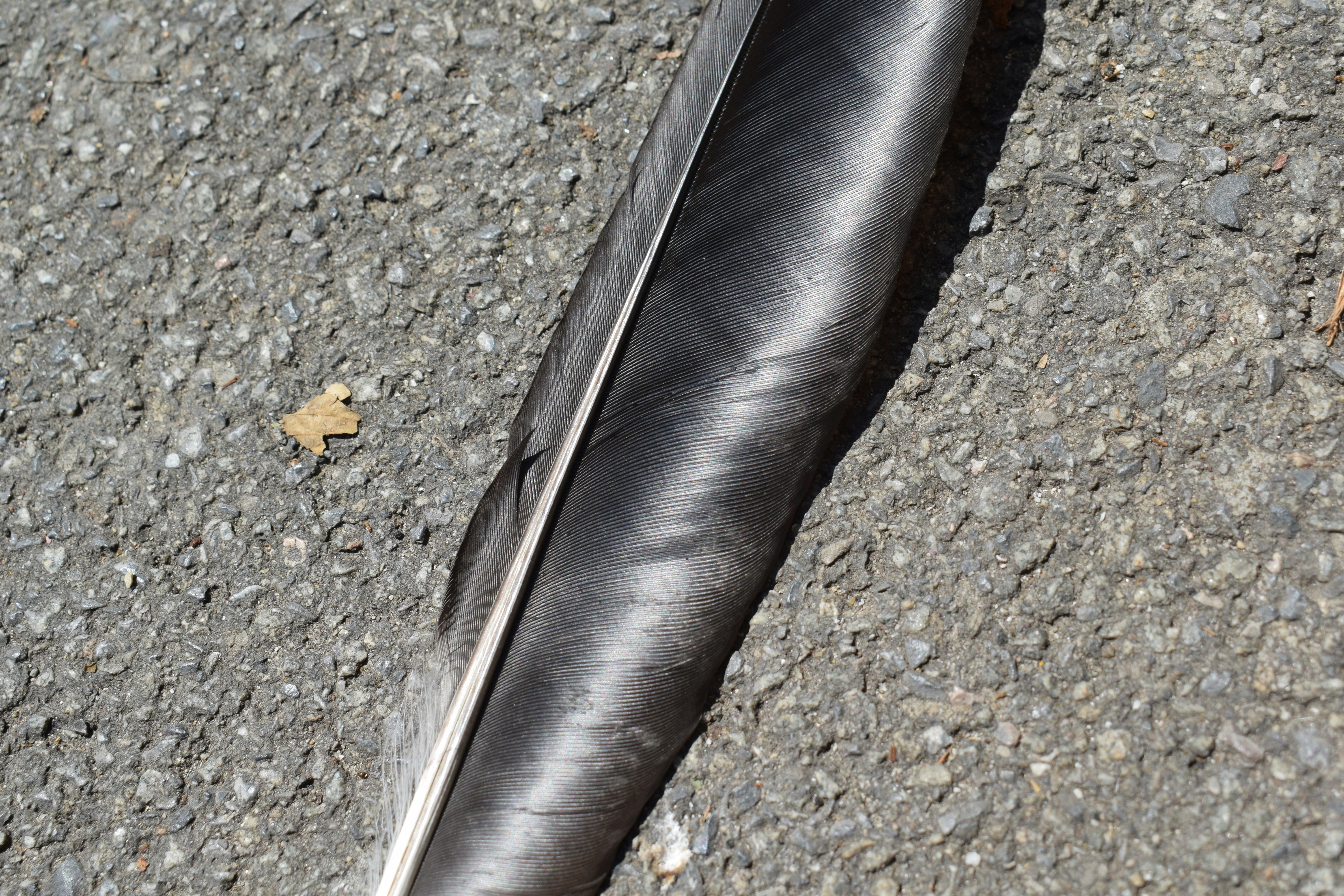 Photo by Marija Zaric with Nikon D5300