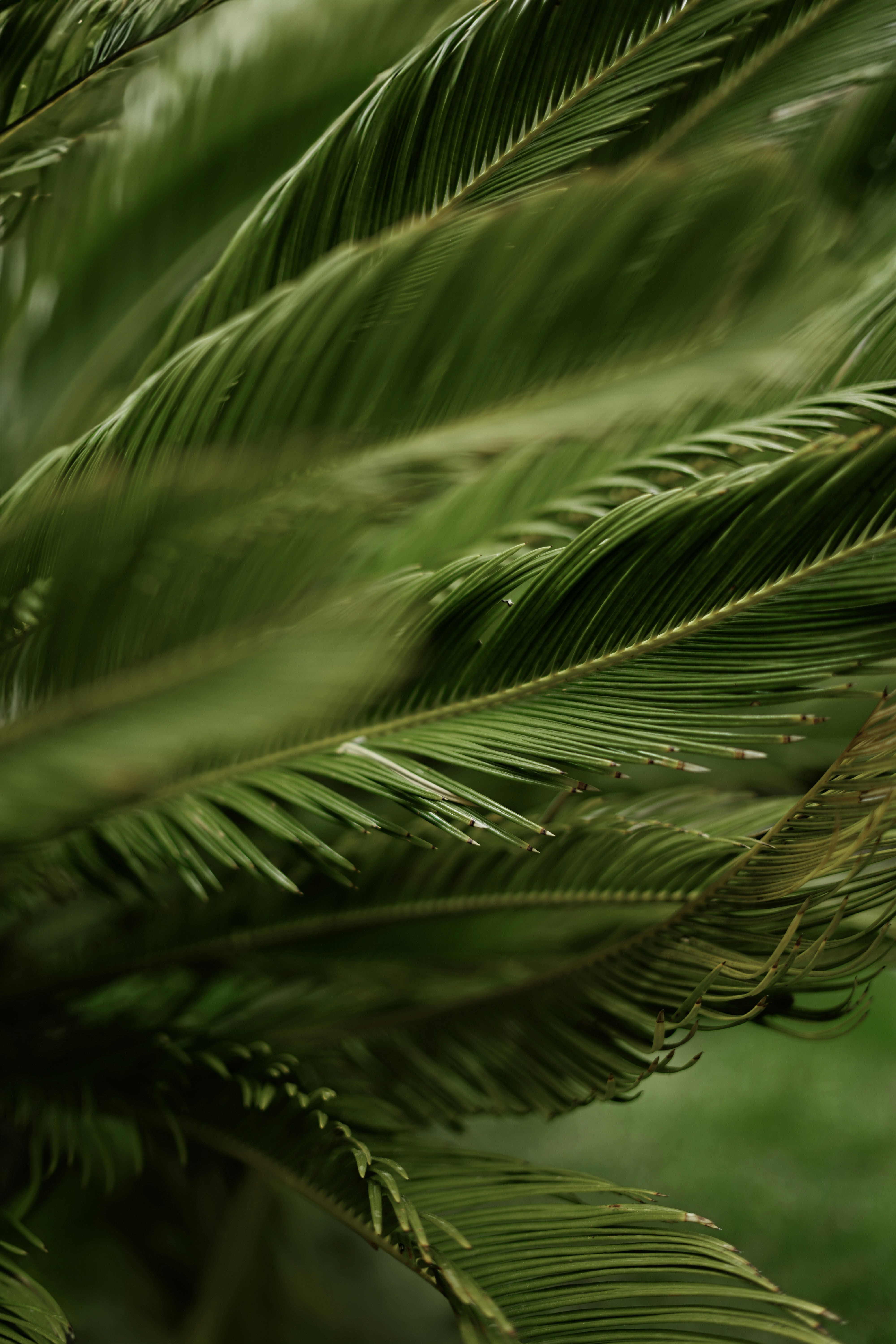 Uri O'Callaghan (@uriocallaghan) | Komunitas Foto Unsplash