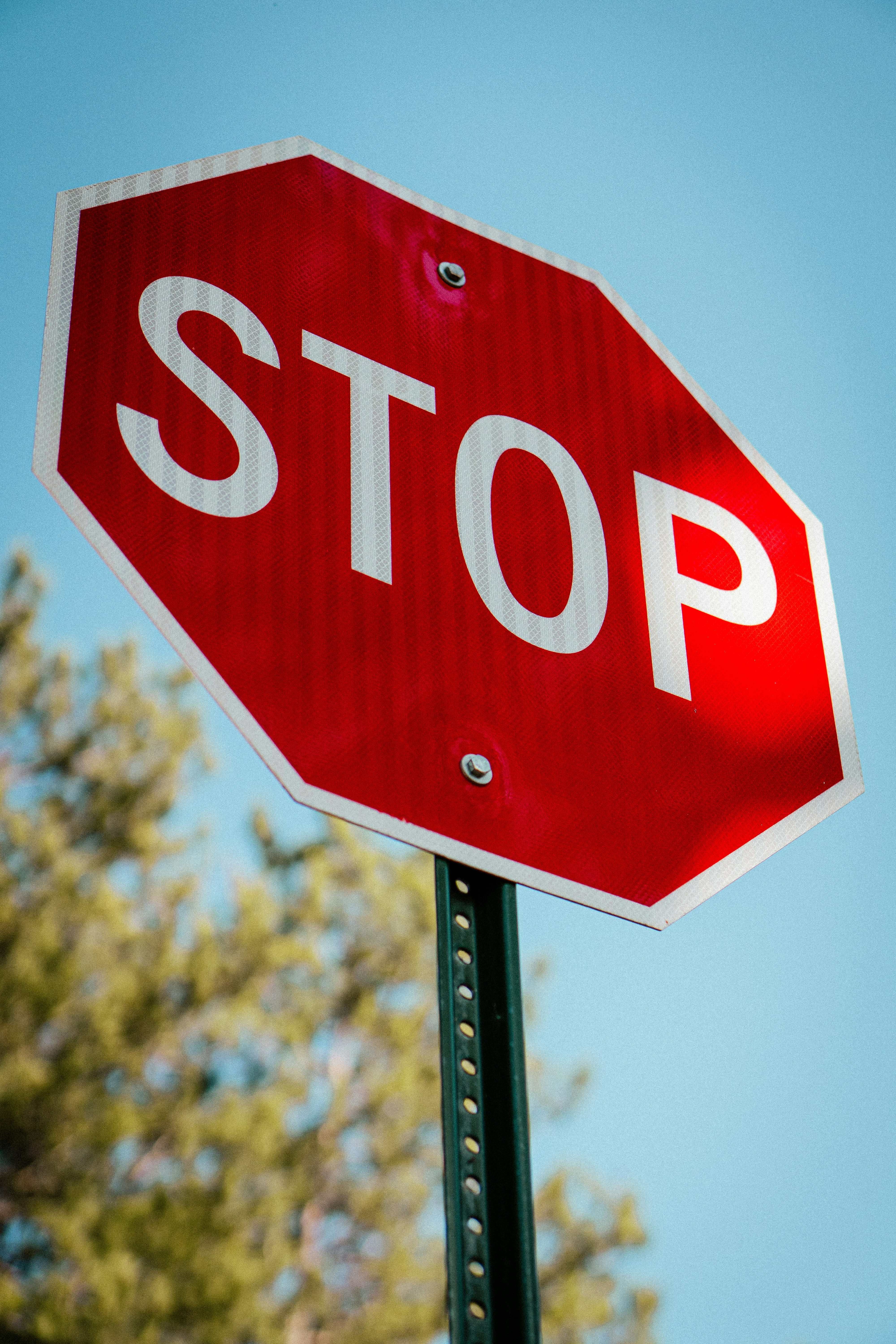 A close up of a stop sign with trees in the background photo – Free ...