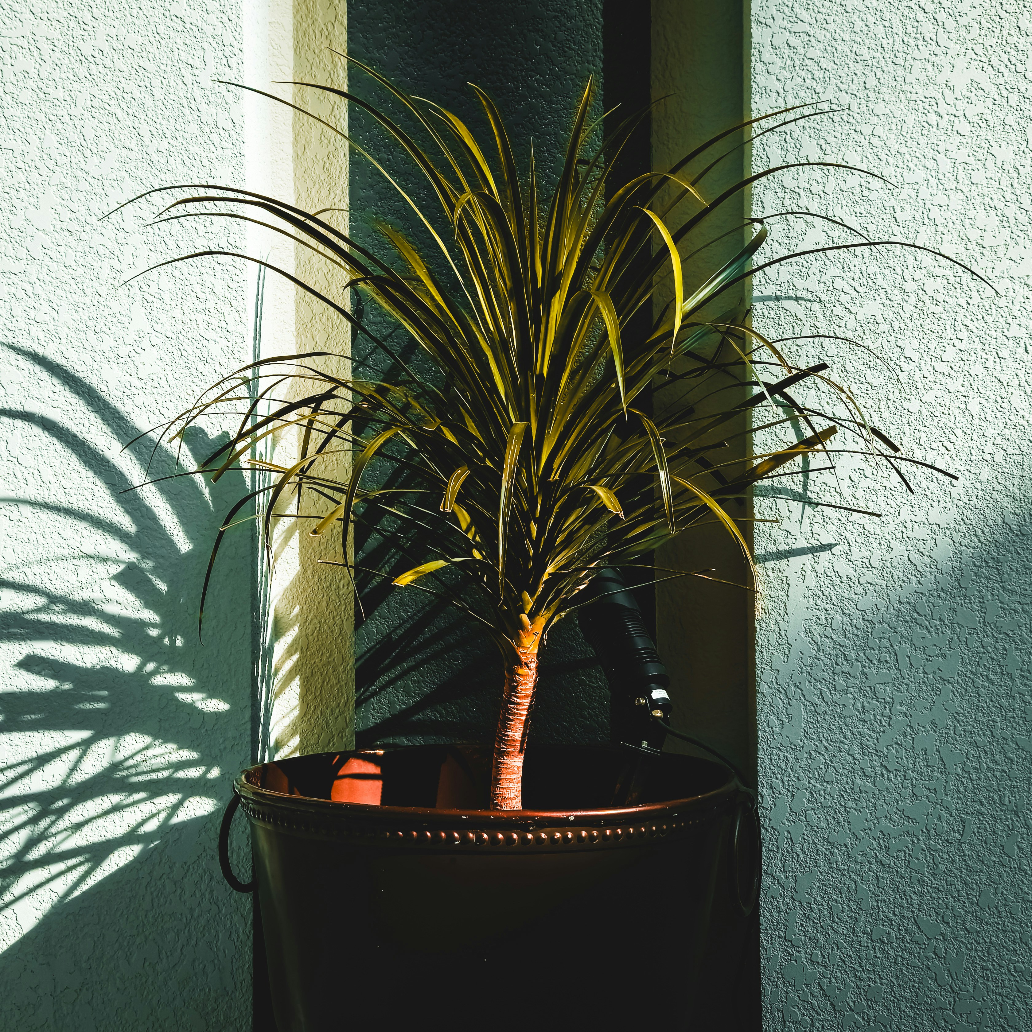 Photo by Yudhajit Ghosh with Samsung Galaxy S23