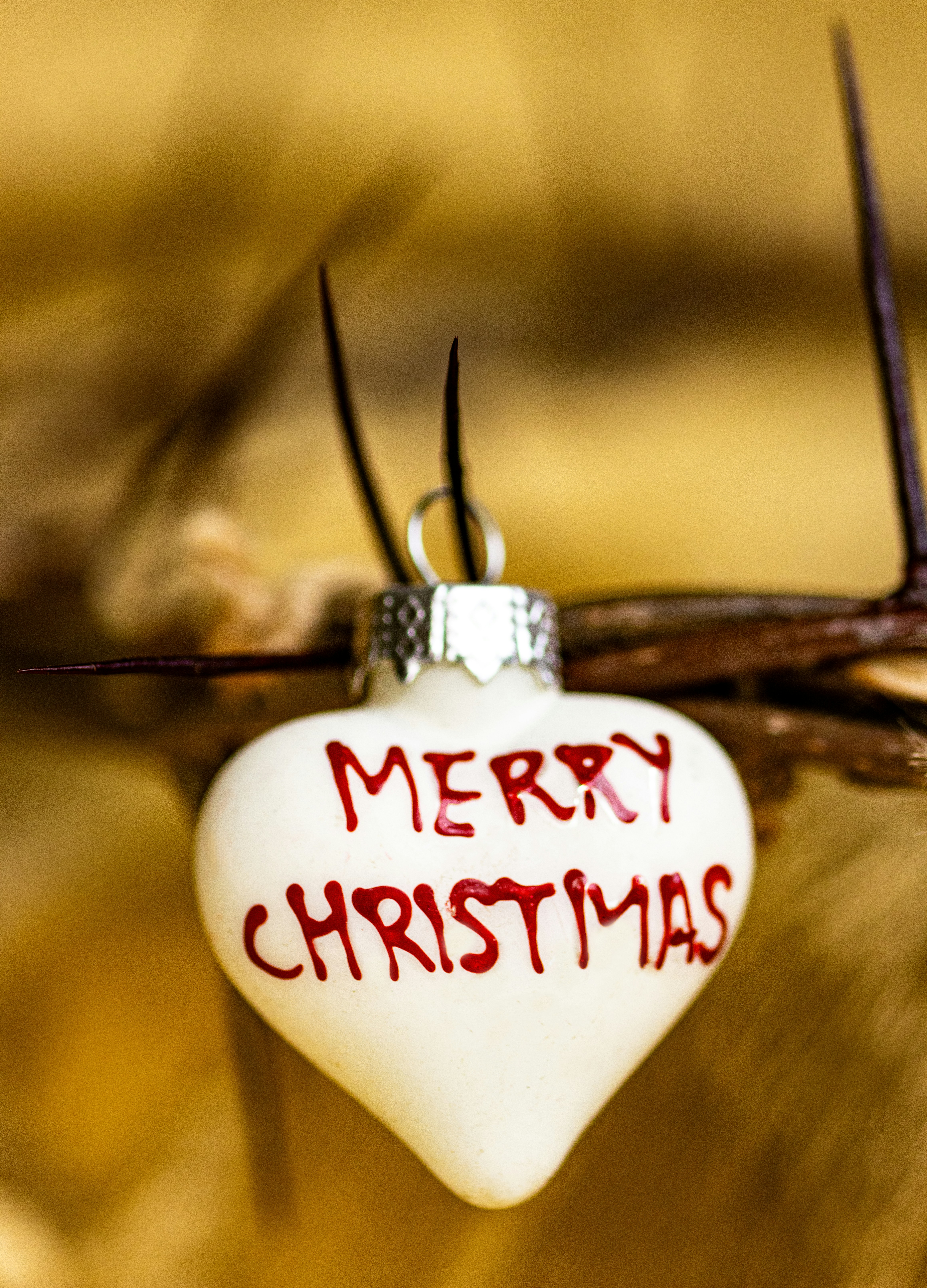 White Heart on a Thorny Branch: Warm Christmas Glow