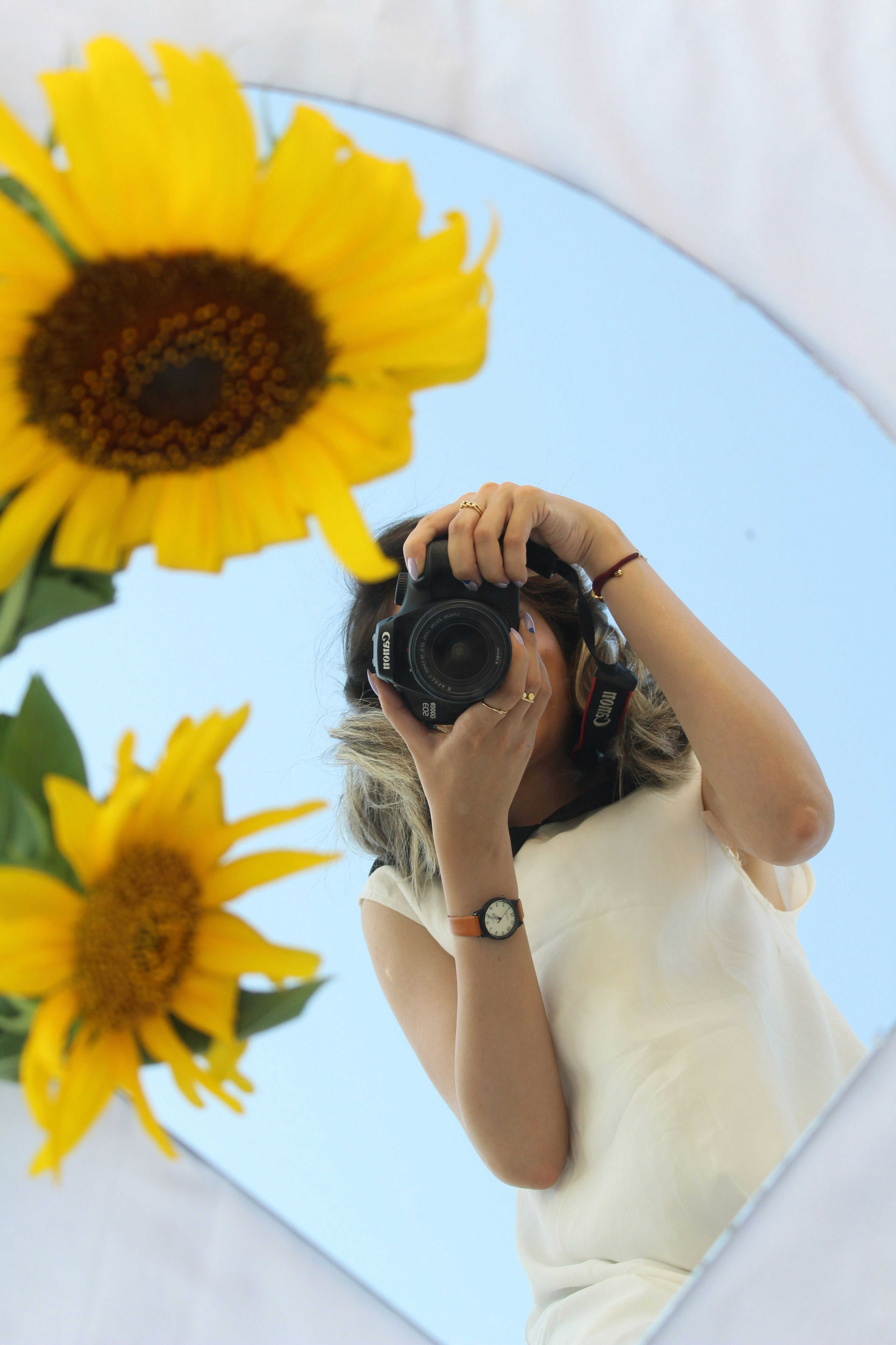 Circular Bloom Portrait: A Photographer Framed by Sunflowers
