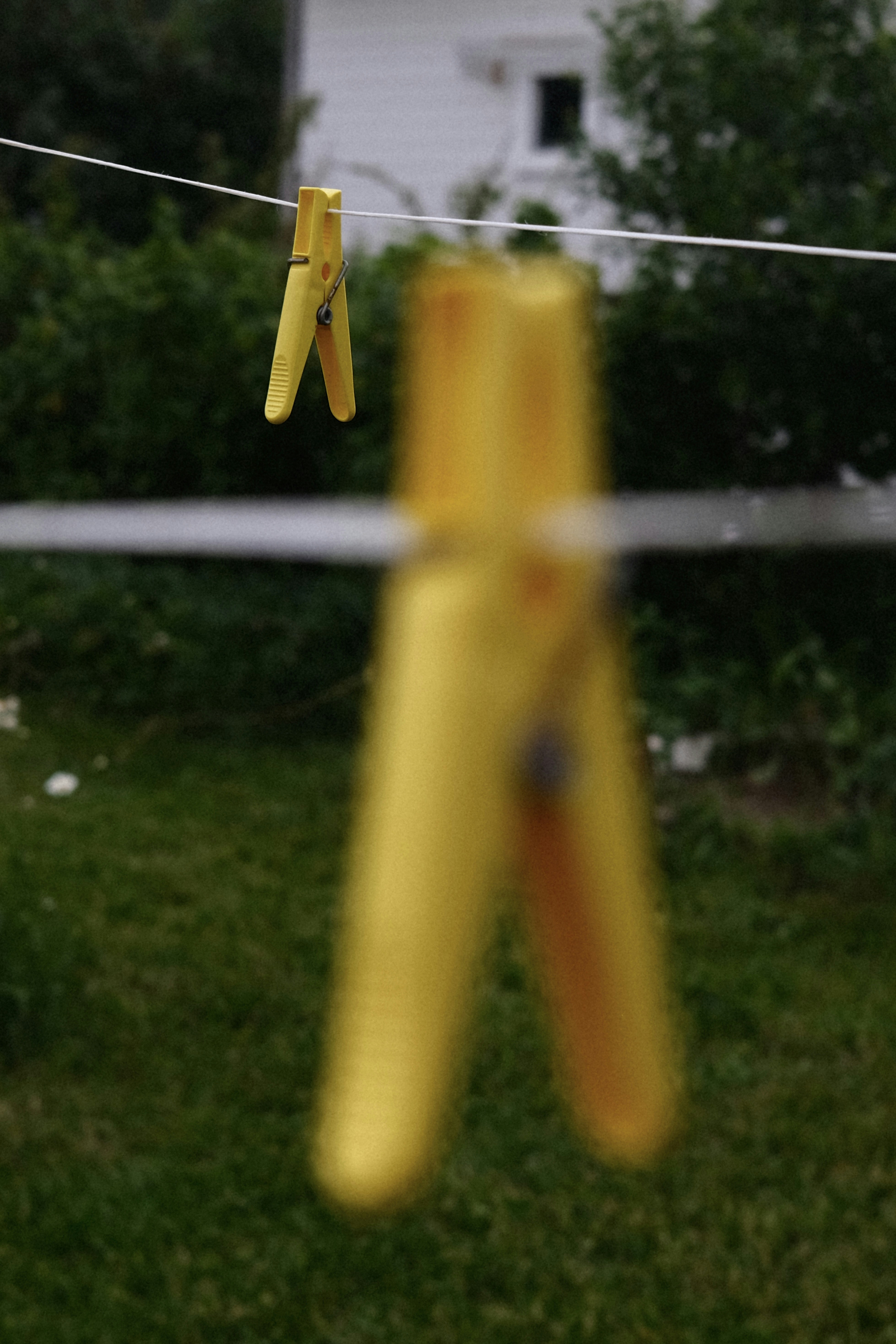 A Pinpoint of Sunlight: The Yellow Clothespin on a Quiet Clothesline