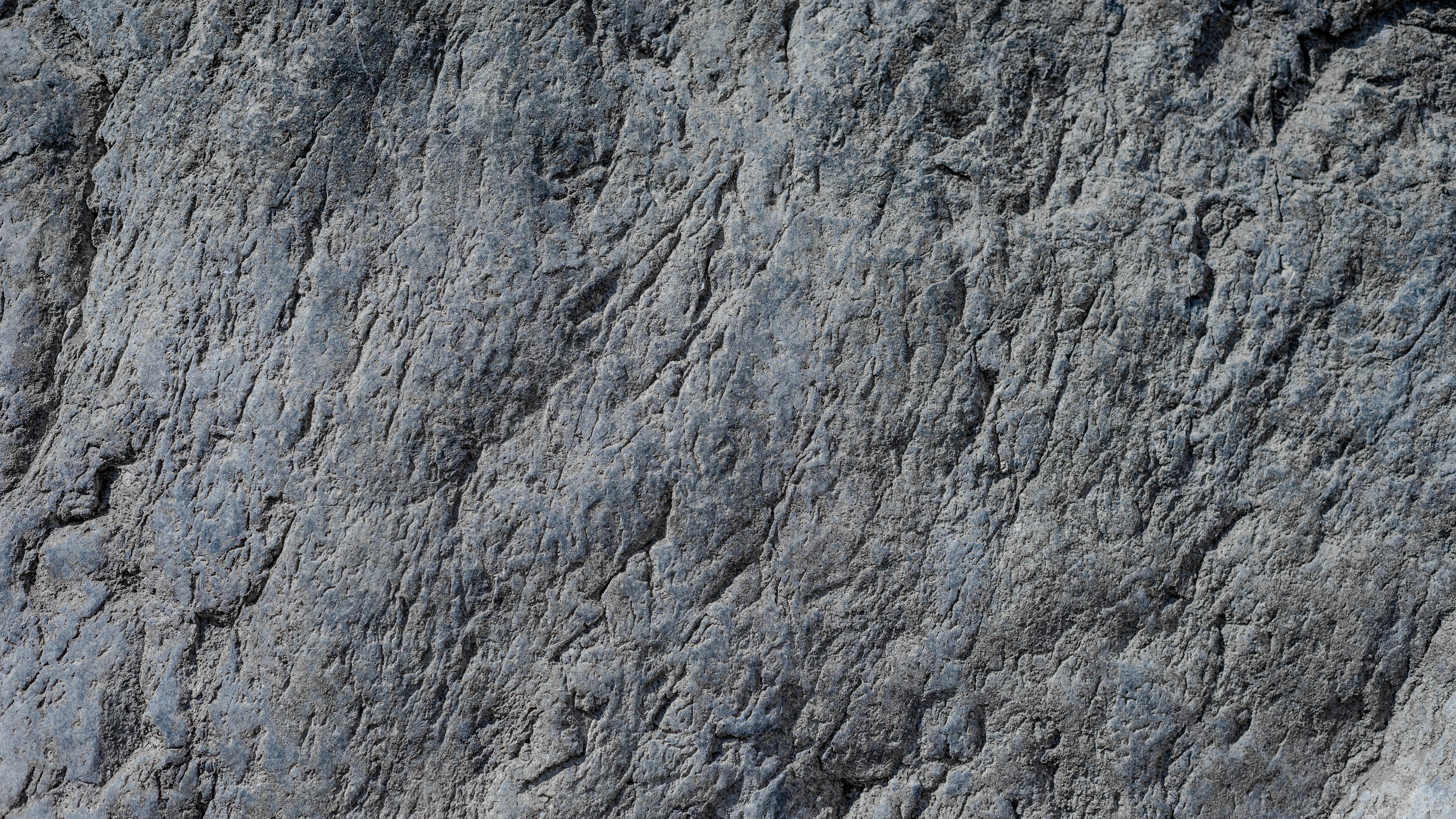 Photo by Sergey Kondratiuk with Sony Alpha 7 II