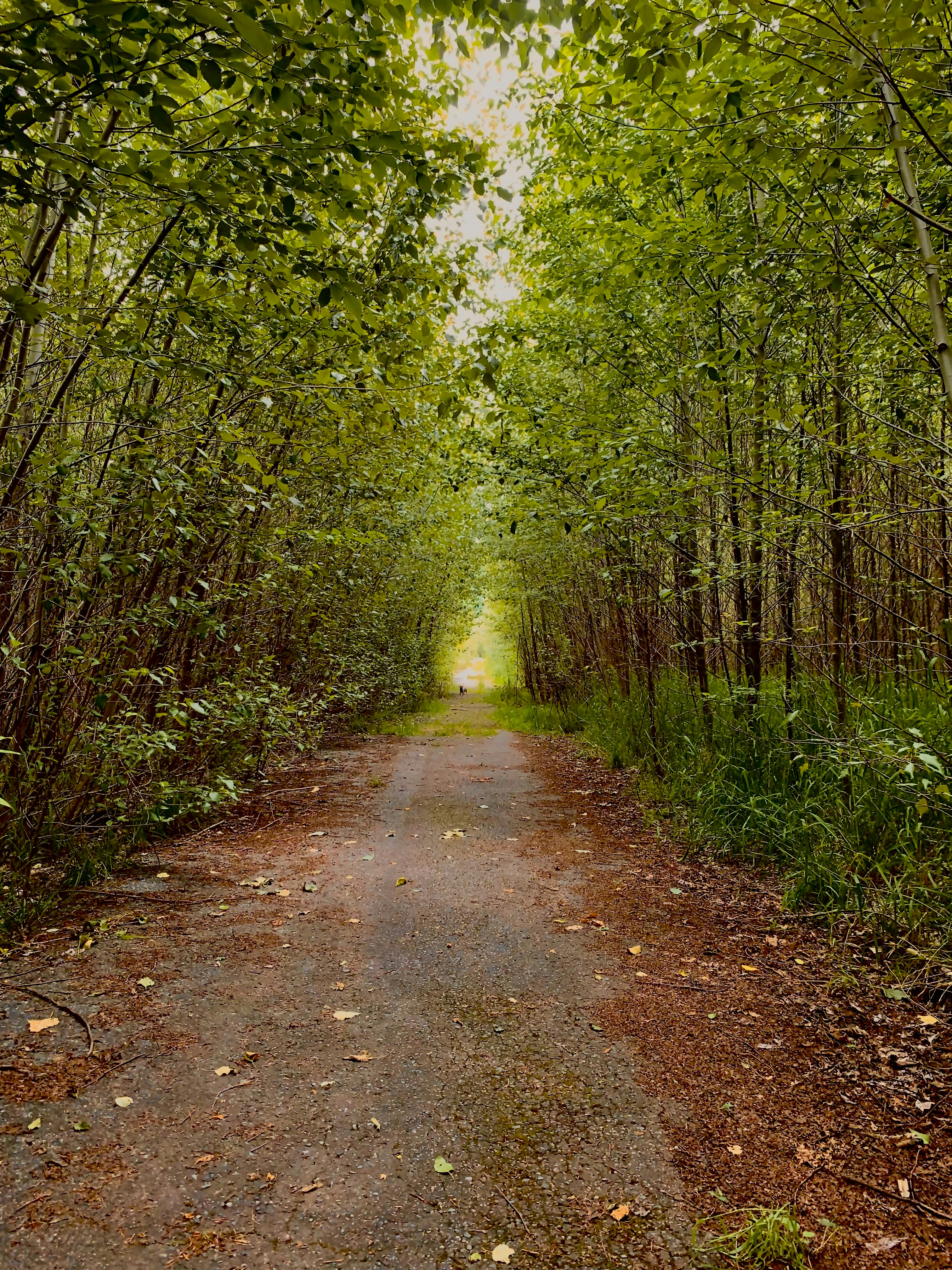 Photo by Laura Matthews with Apple iPhone XS Max