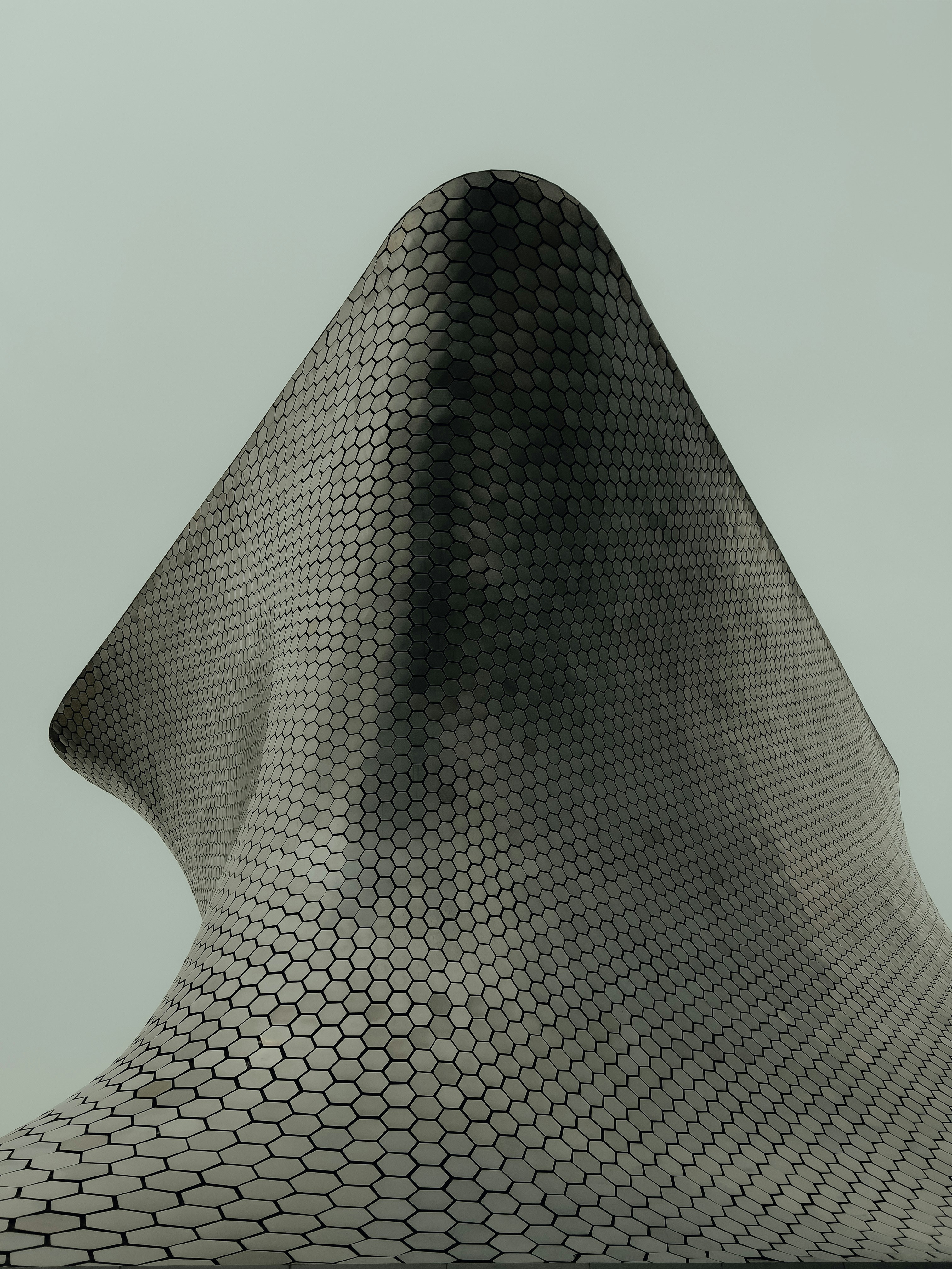 Hexa-Skin Peak: Silvery Curve of a Hexagonal Facade