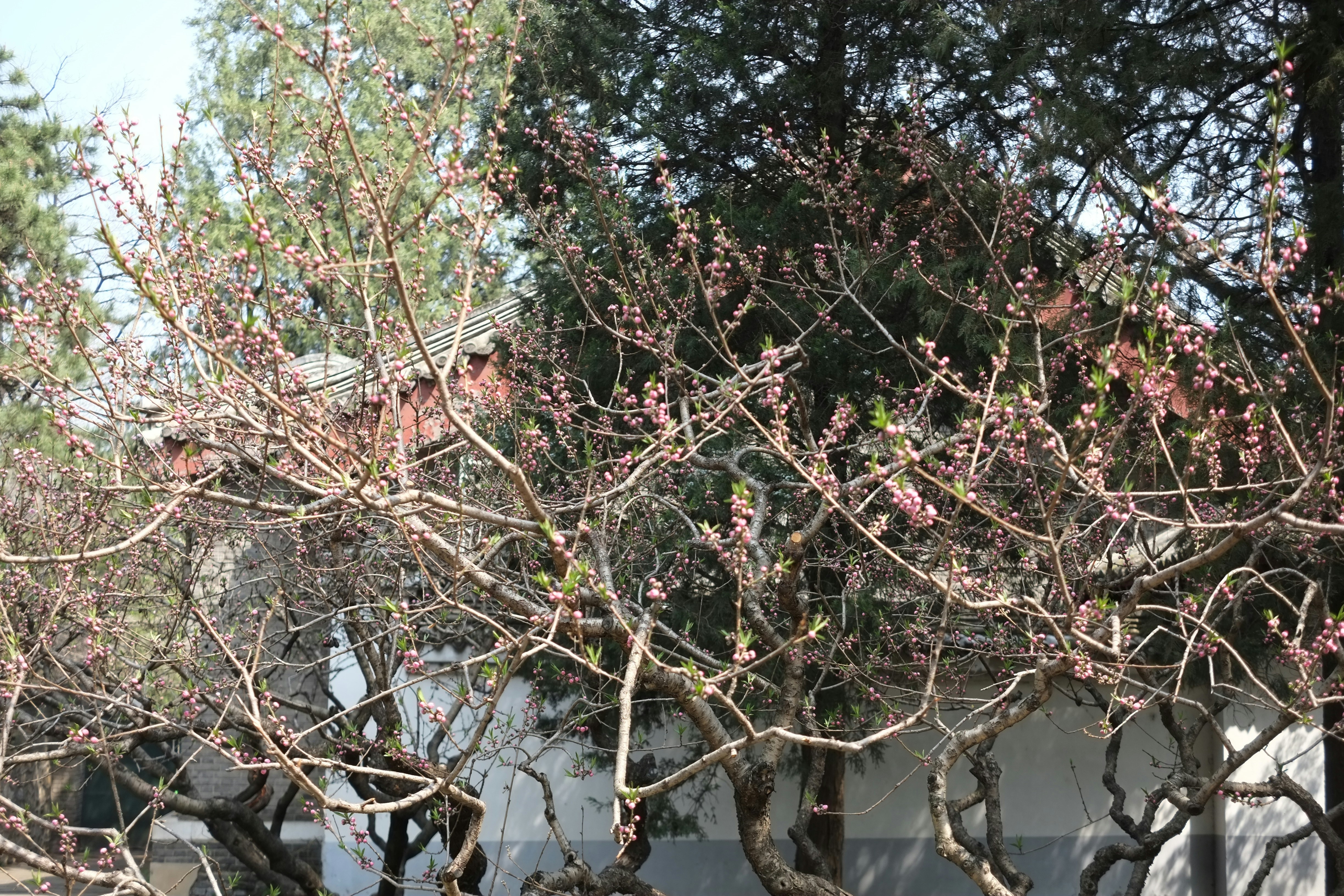 Photo by MChe Lee with Fujifilm X-E1