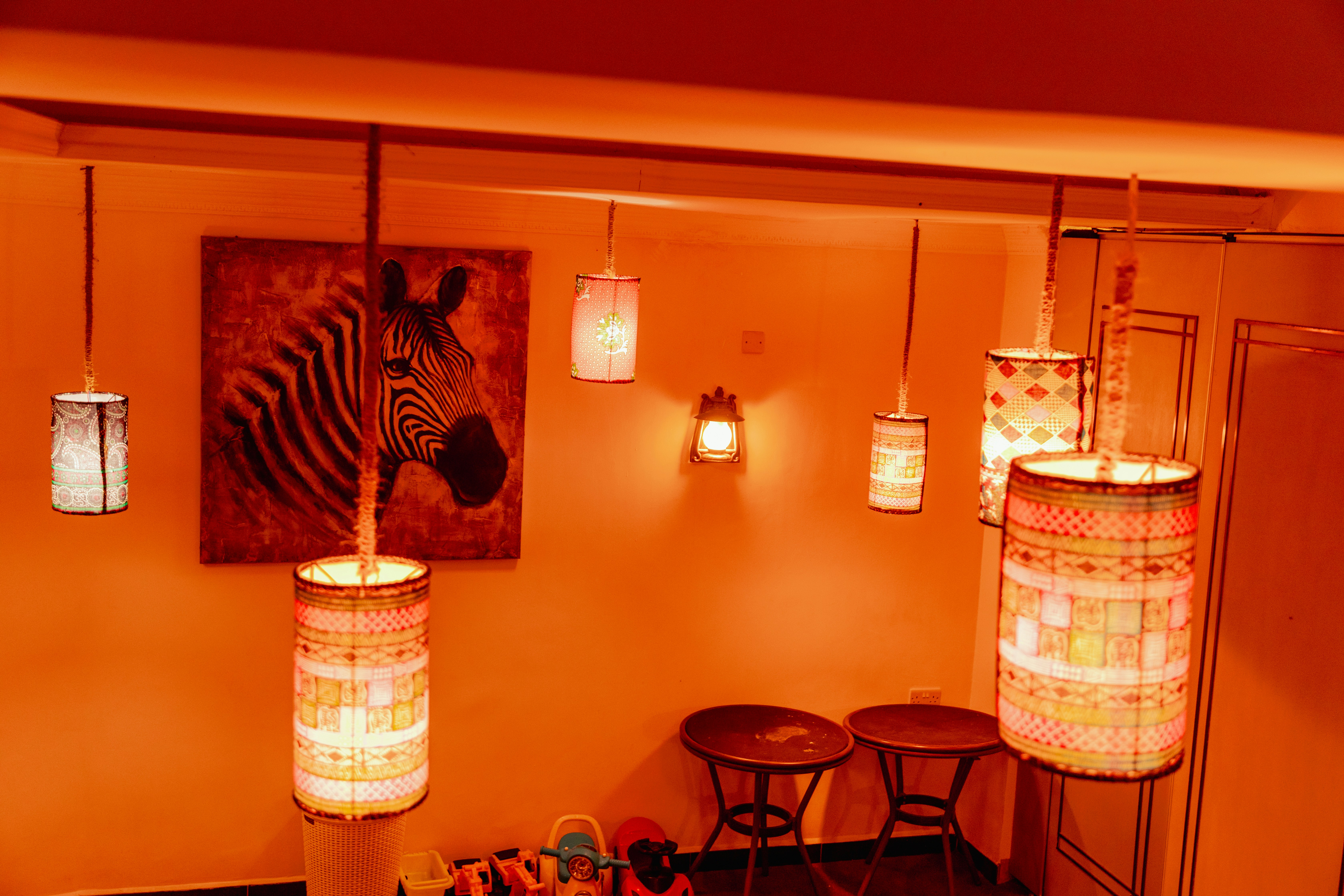 Warm Hanging Lamps Over a Zebra Portrait