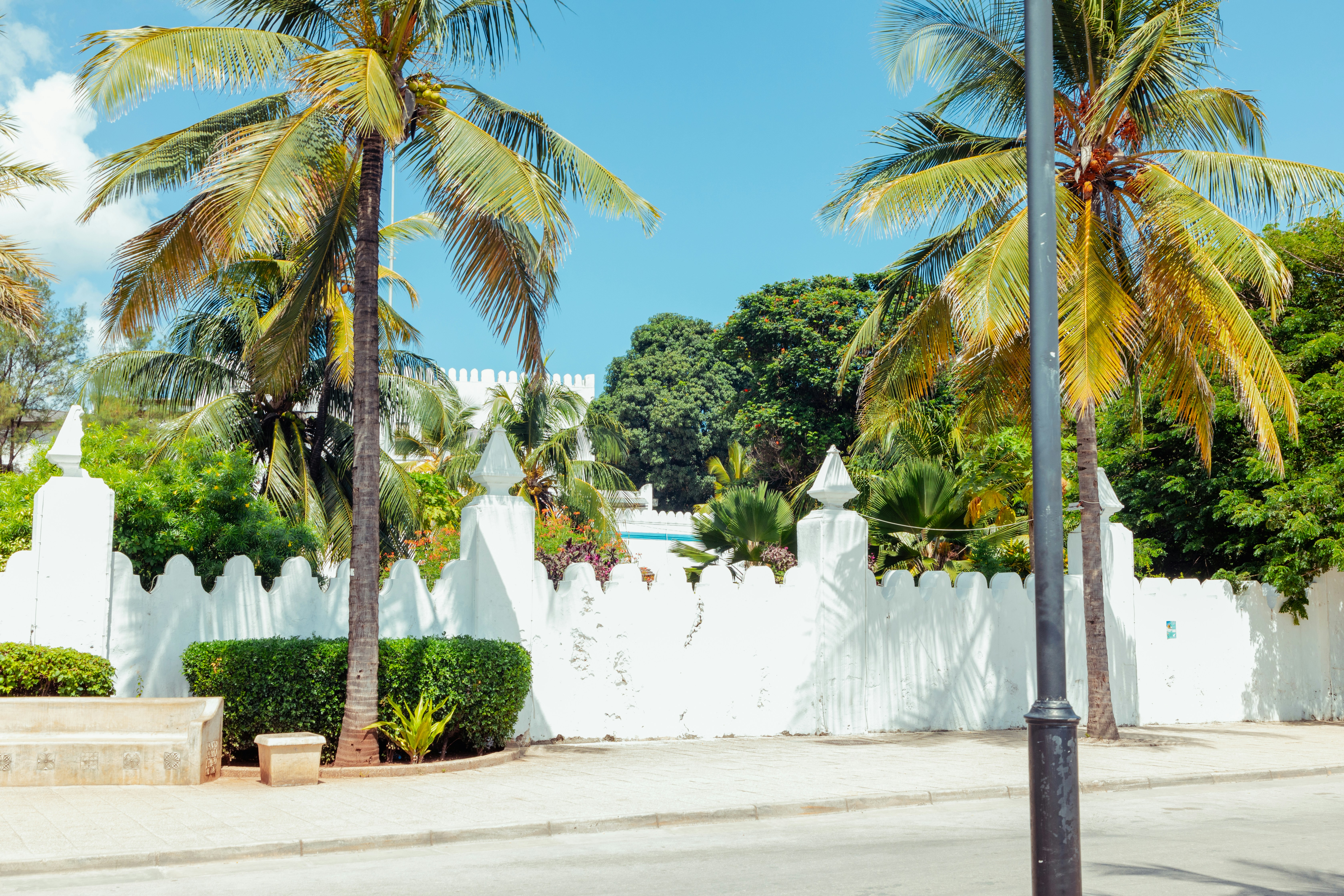 Palm Gate and White Barrier: A Quiet Coastal Streetlamp