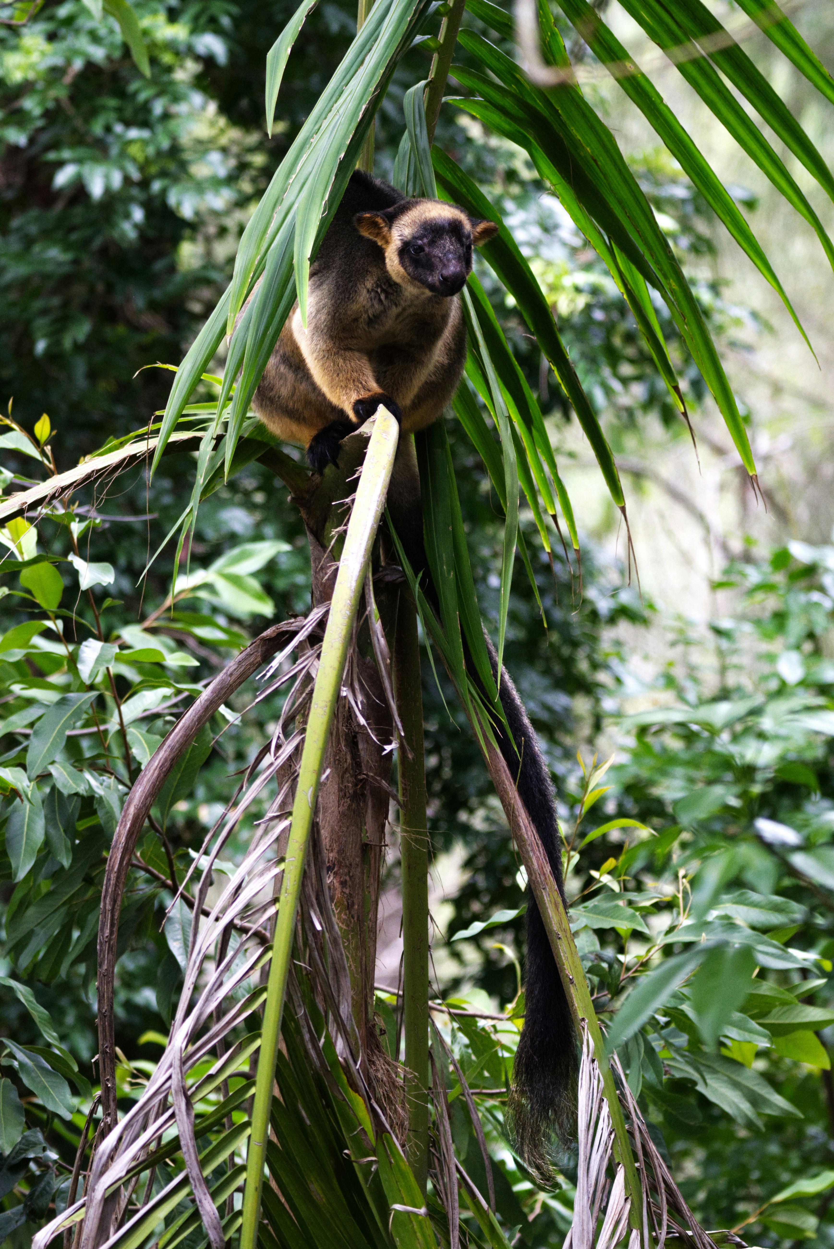 Photo by Stephen Tafra with Sony Alpha 6600