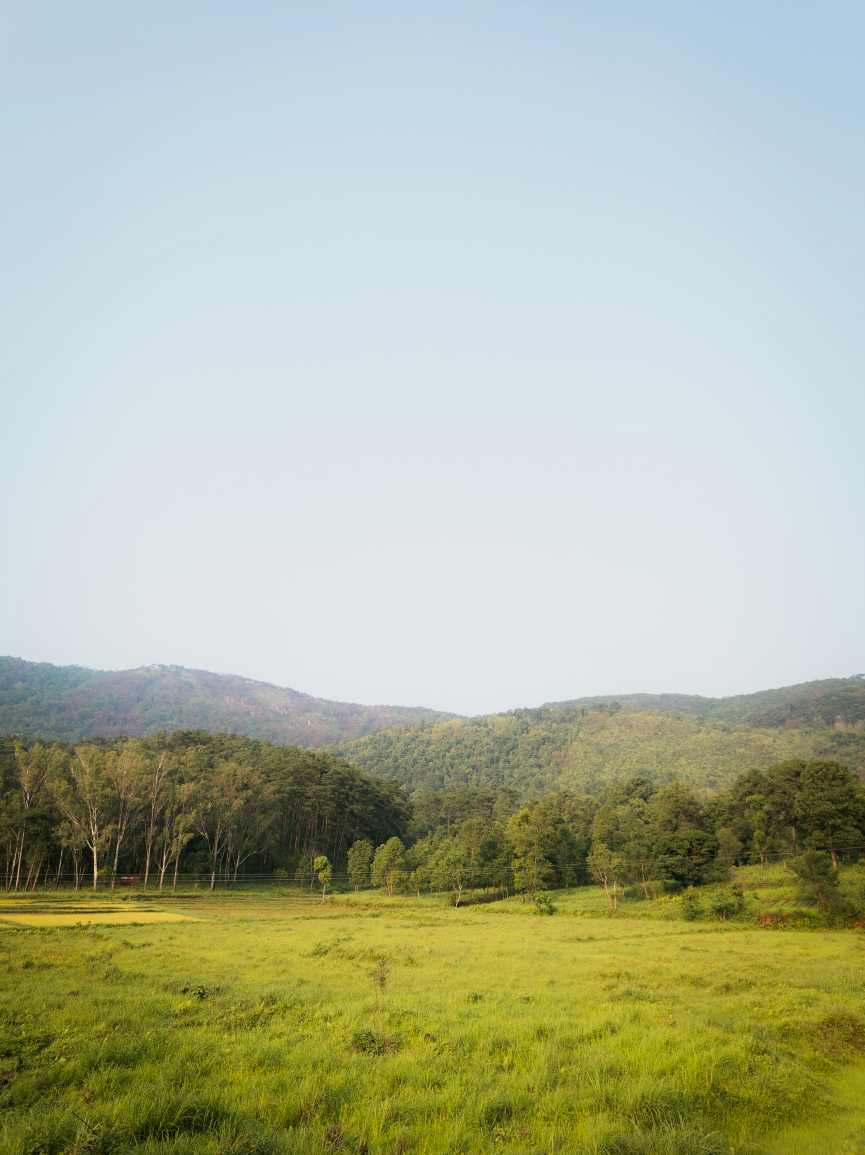 Sample photo from Realme 9 Pro Plus