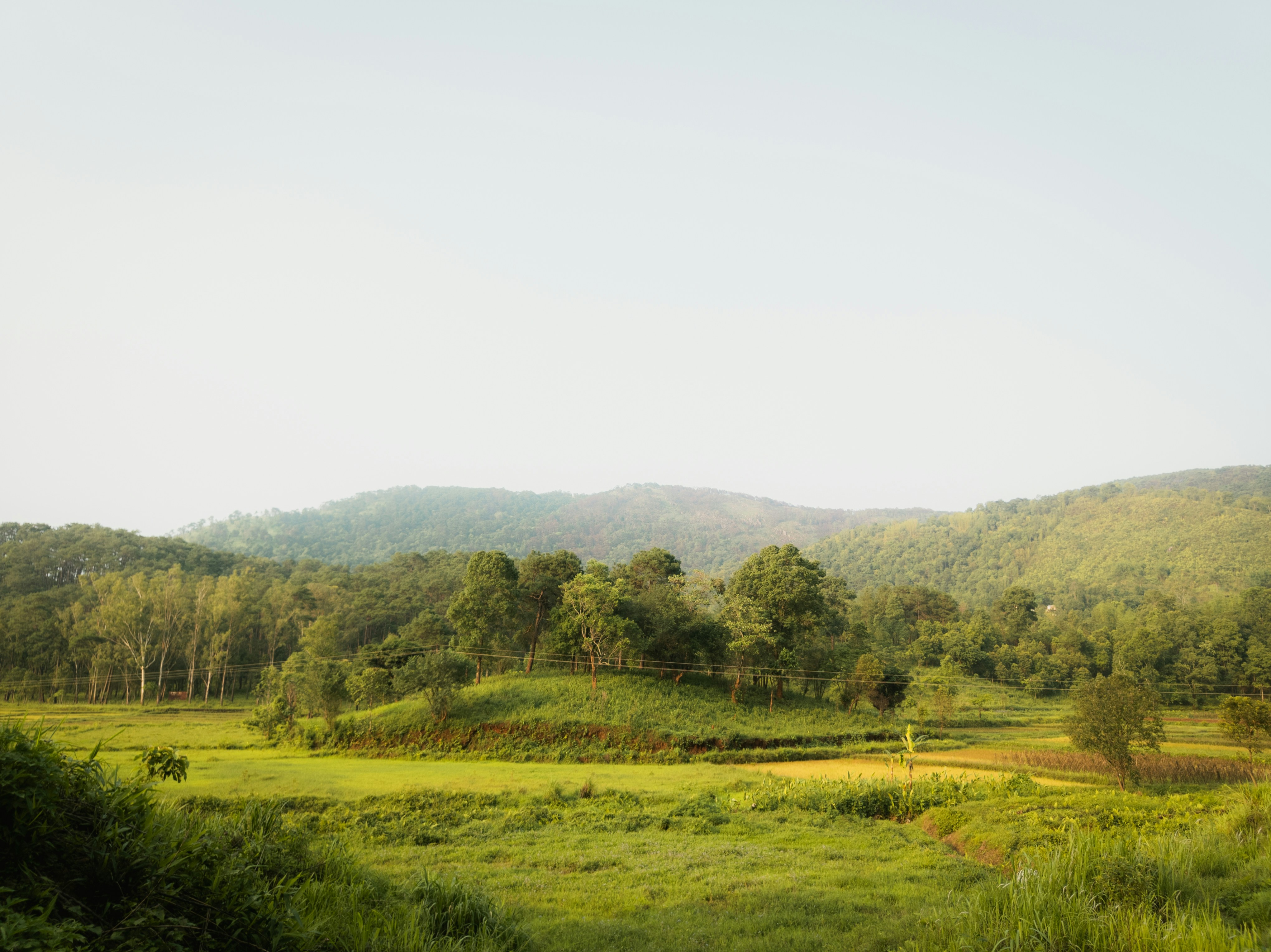 Sample photo from Realme 9 Pro Plus