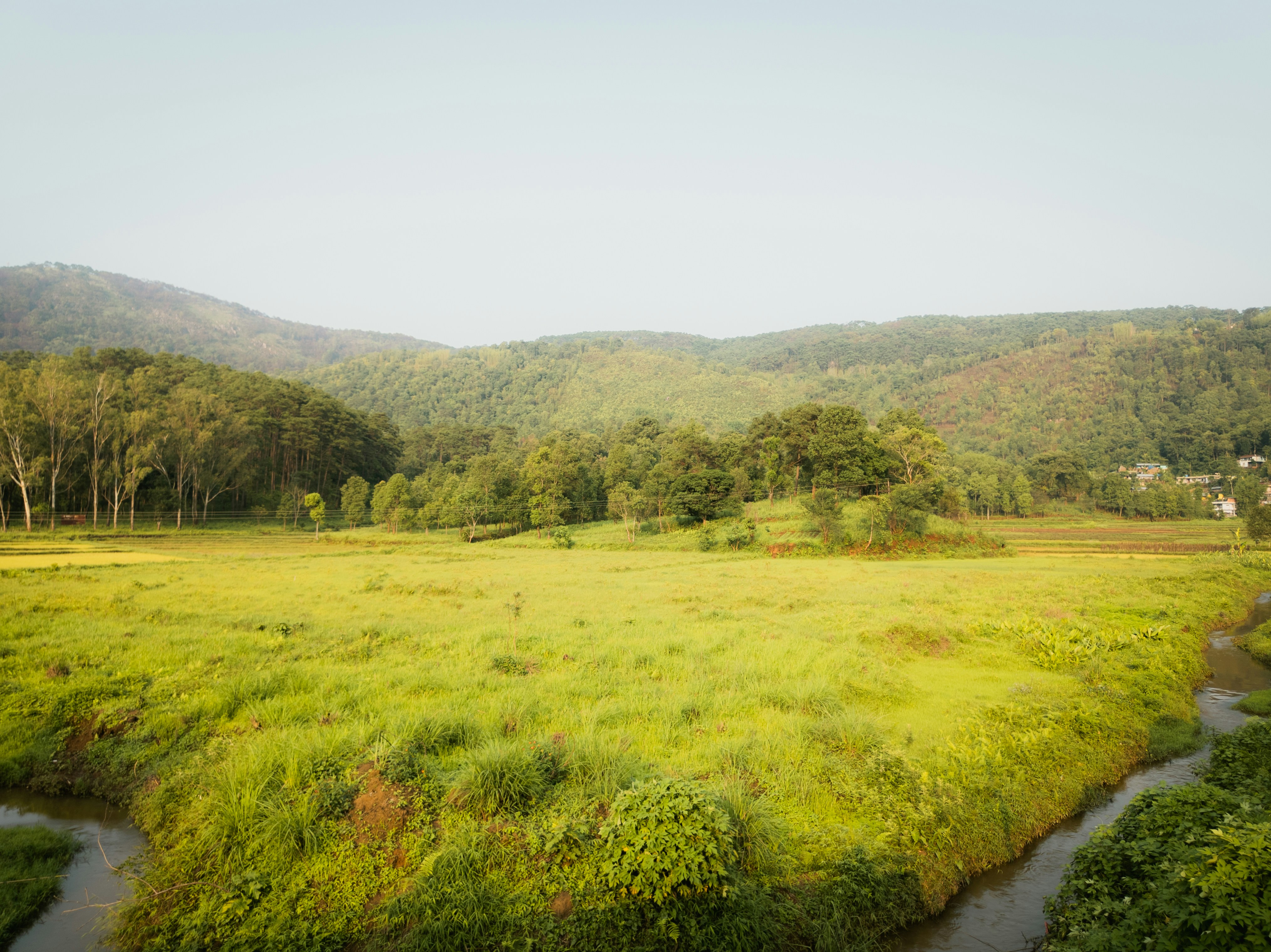 A grassy field with a stream running through it photo – Free India ...