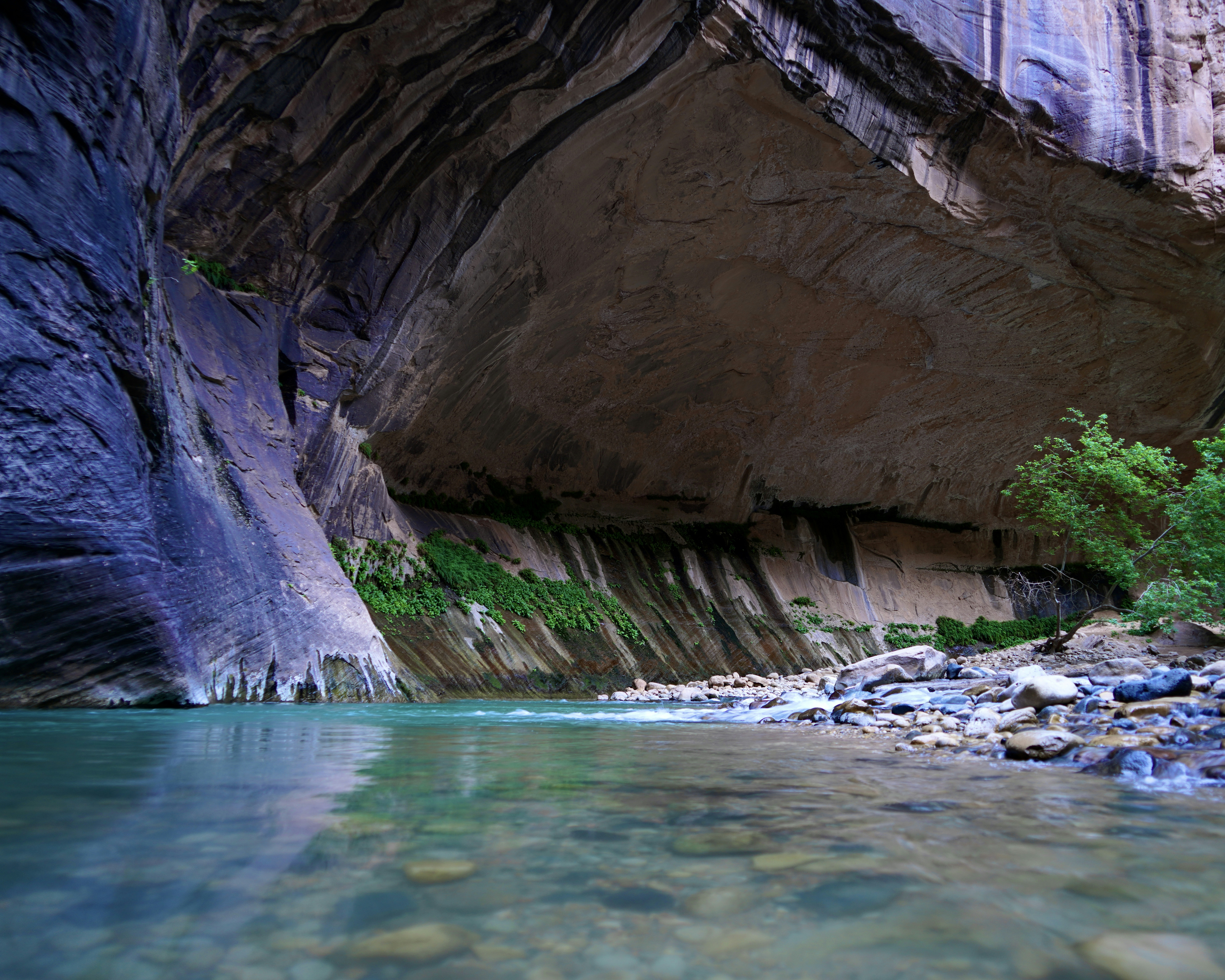 A river running through a canyon next to a cliff photo – Free Zion ...