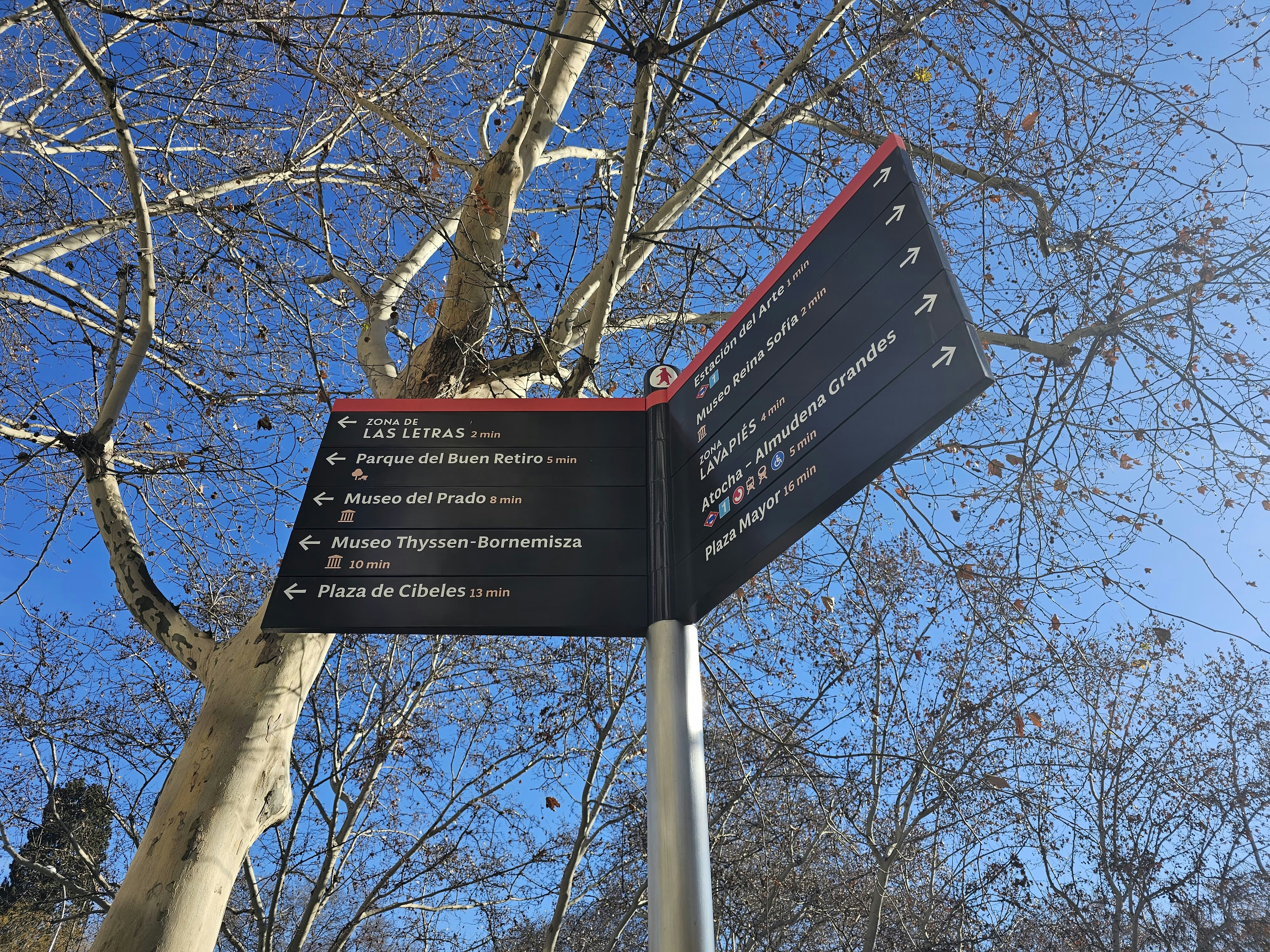 A street sign on a pole in front of a tree photo – Free Madrid Image on ...