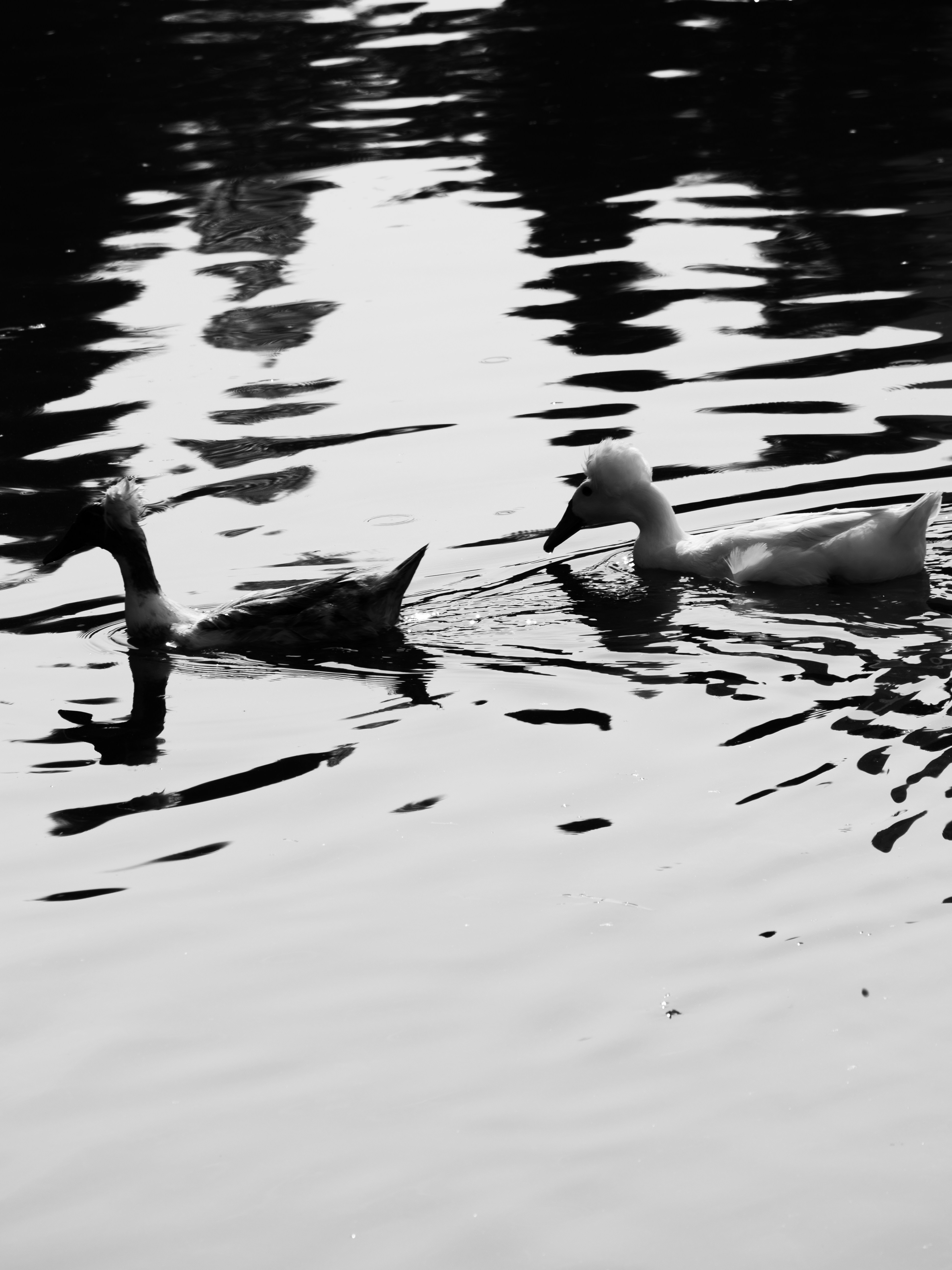 Photo by yaoy xu with Olympus OM-D E-M1 Mark II