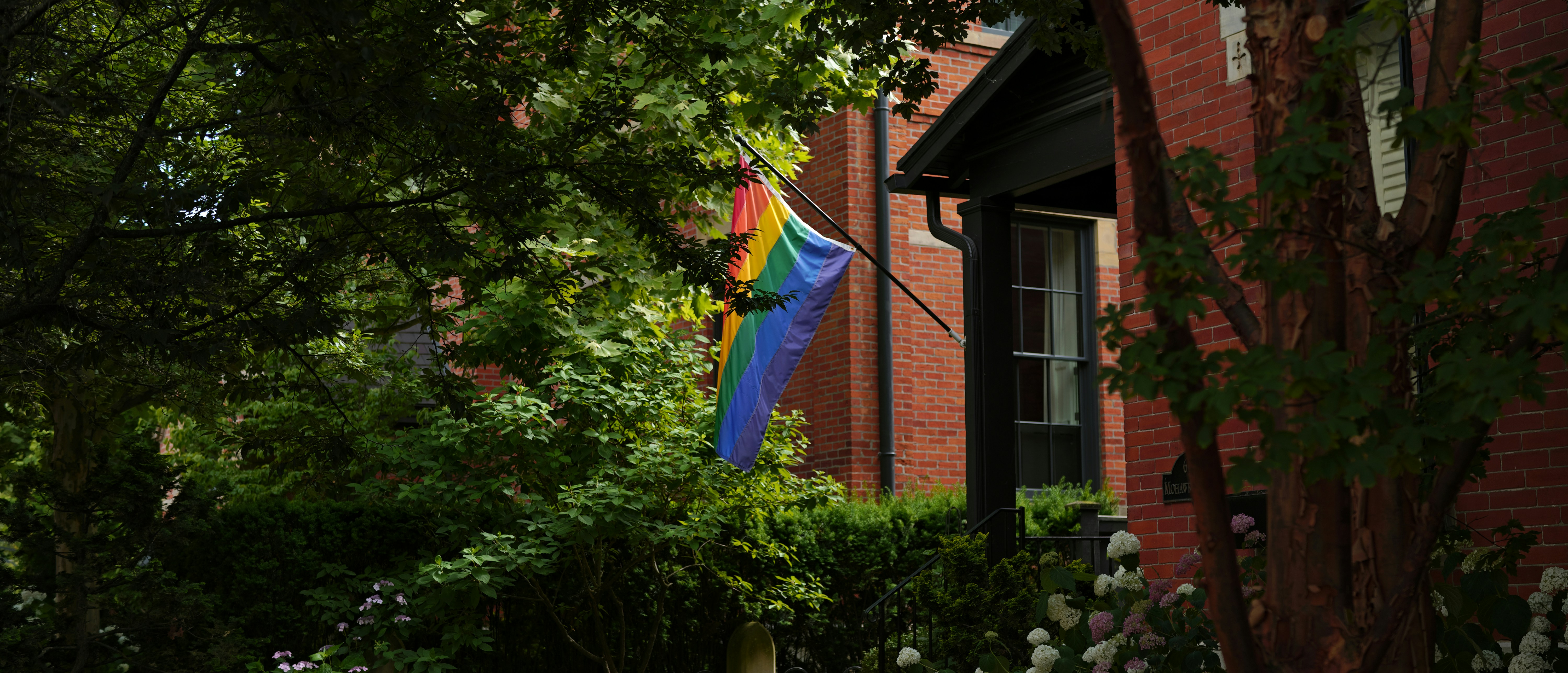 cyrus gomez (@cyrusgomez) | Unsplash 사진 커뮤니티