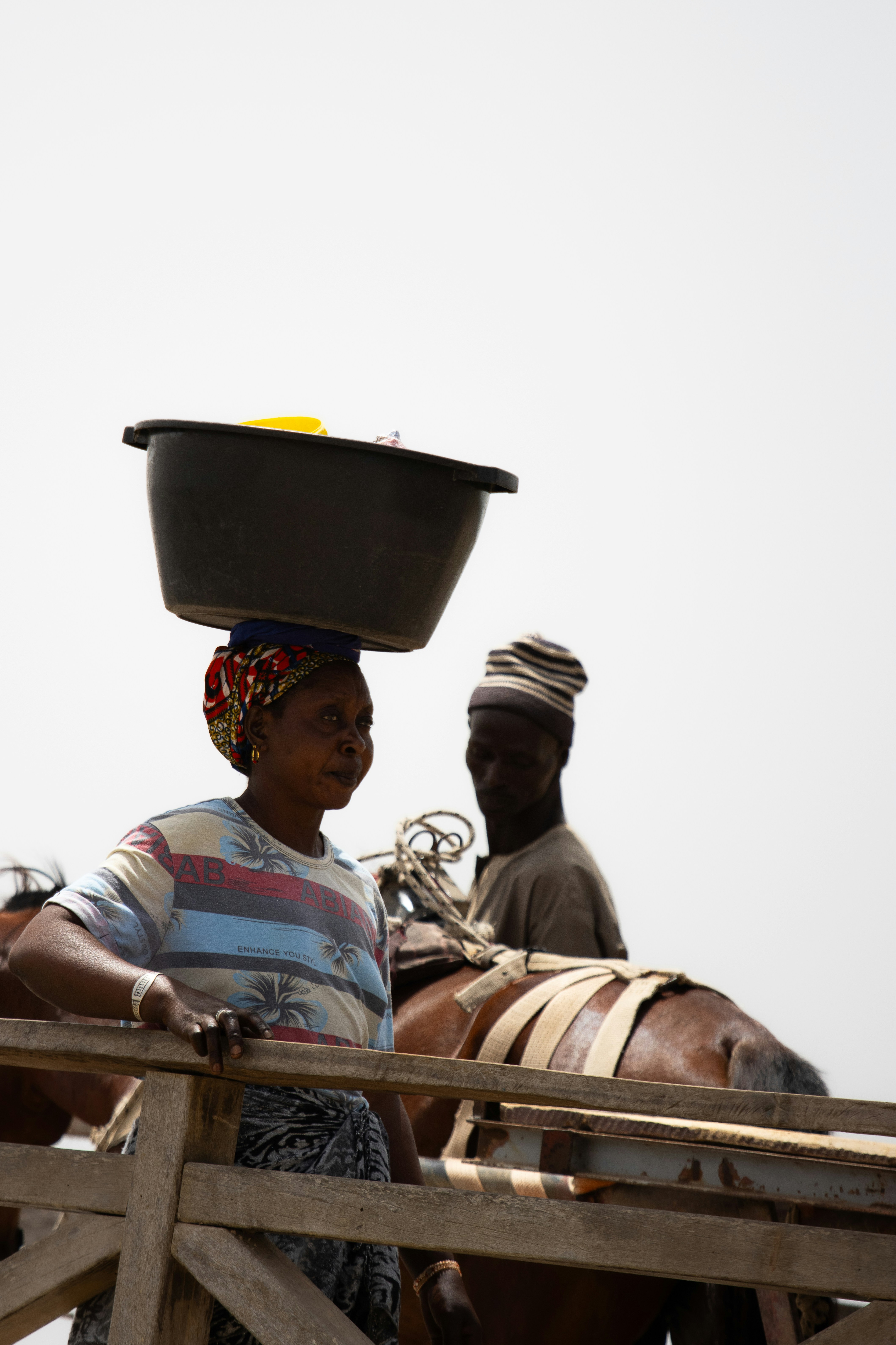 Head-Balanced Basket and Quiet Companions: A Daylight Portrait of Everyday Labor
