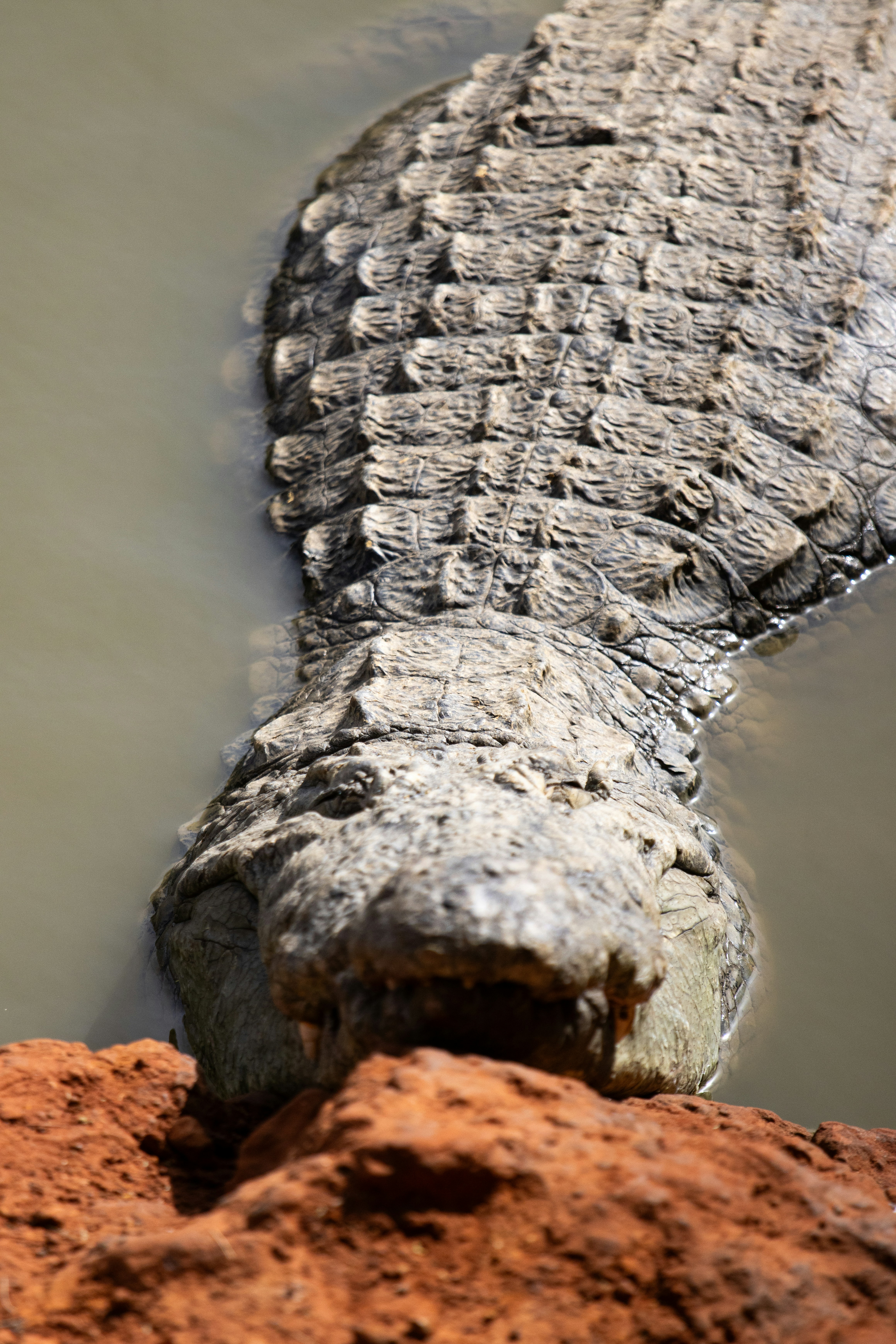 Photo by Nathanaël Desmeules with Canon EOS 90D