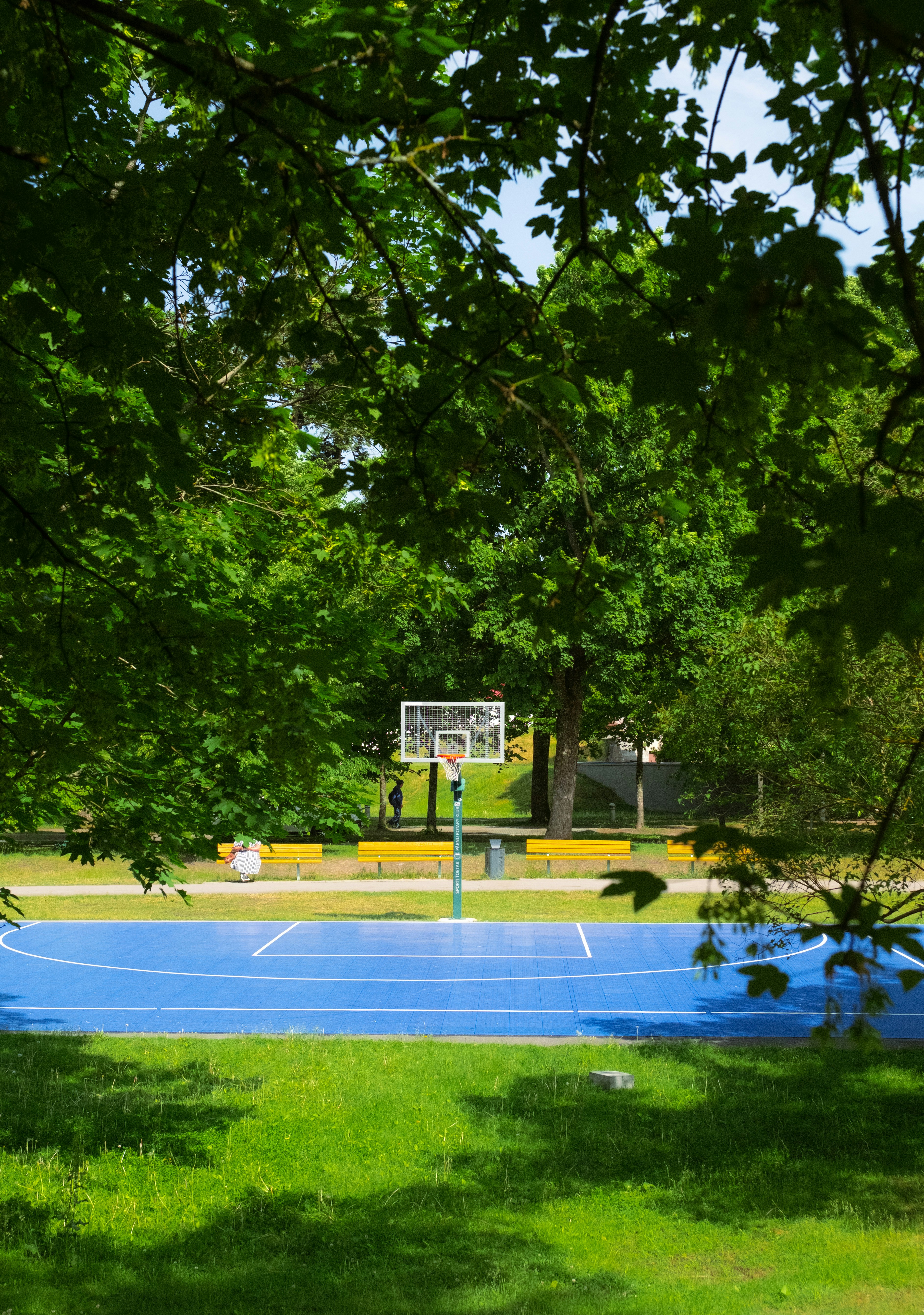 A basketball court surrounded by trees and grass photo – Free ...