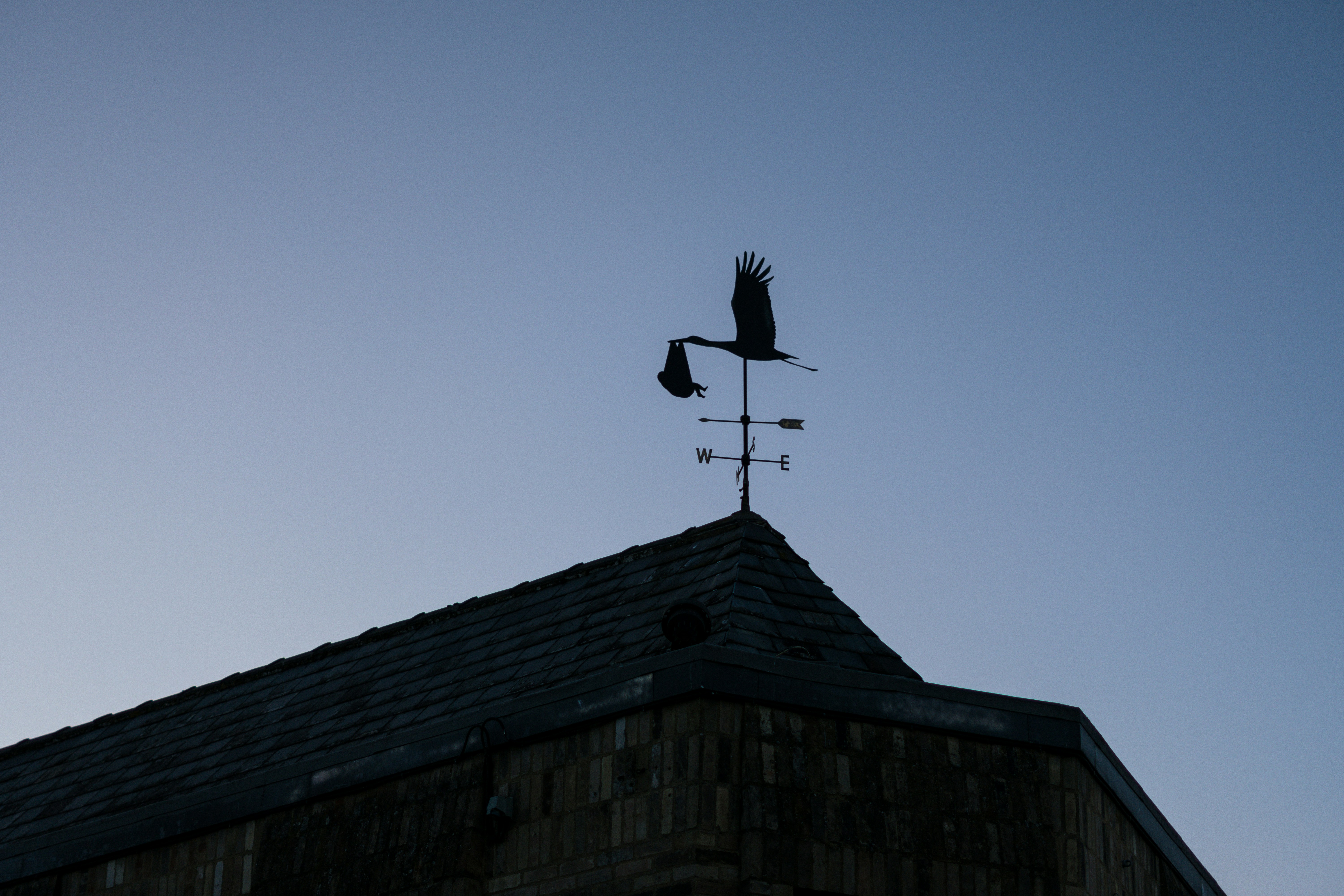 Silhouette of Flight at Dusk