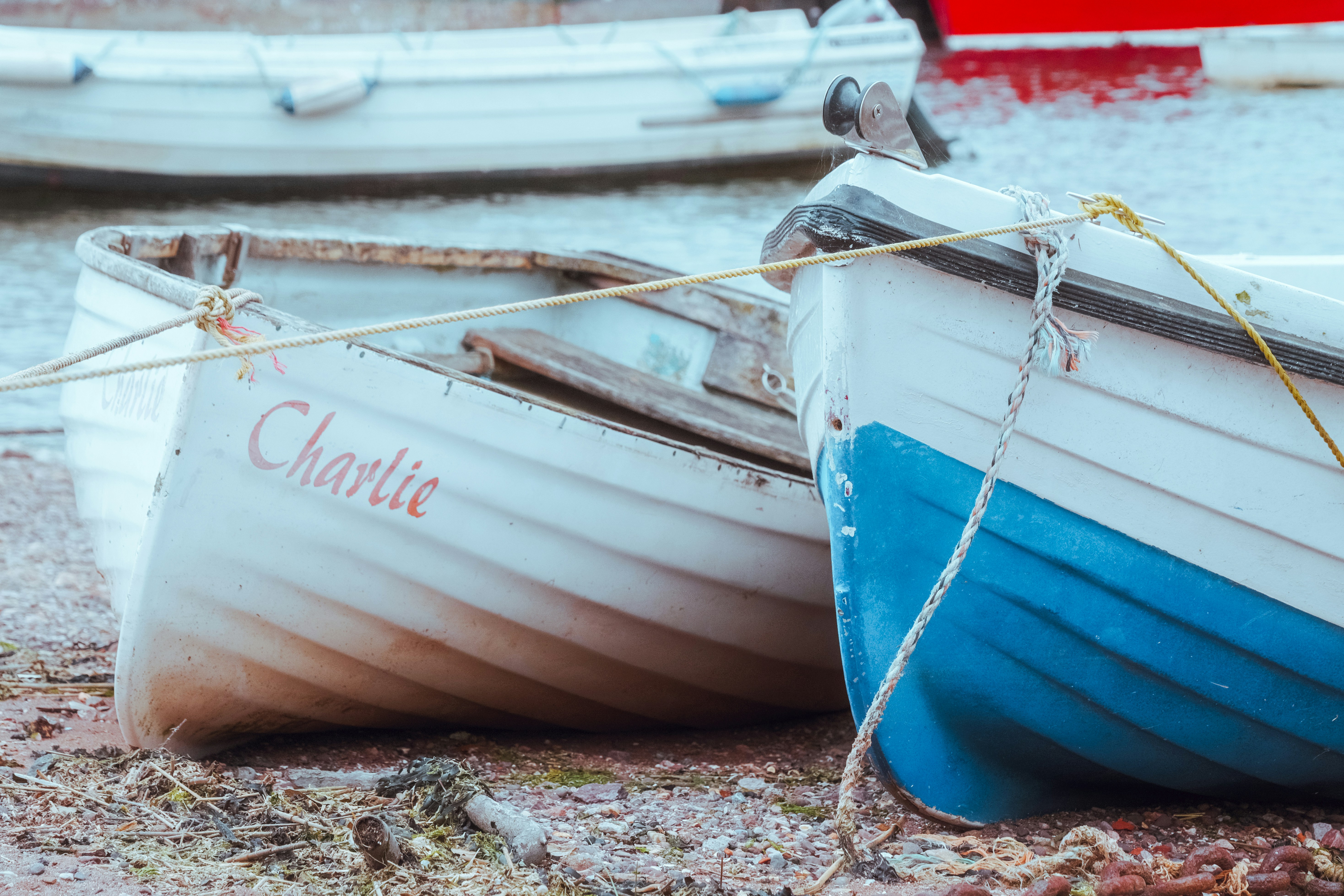 Echoes of the Shoreline: A Tale of Two Boats