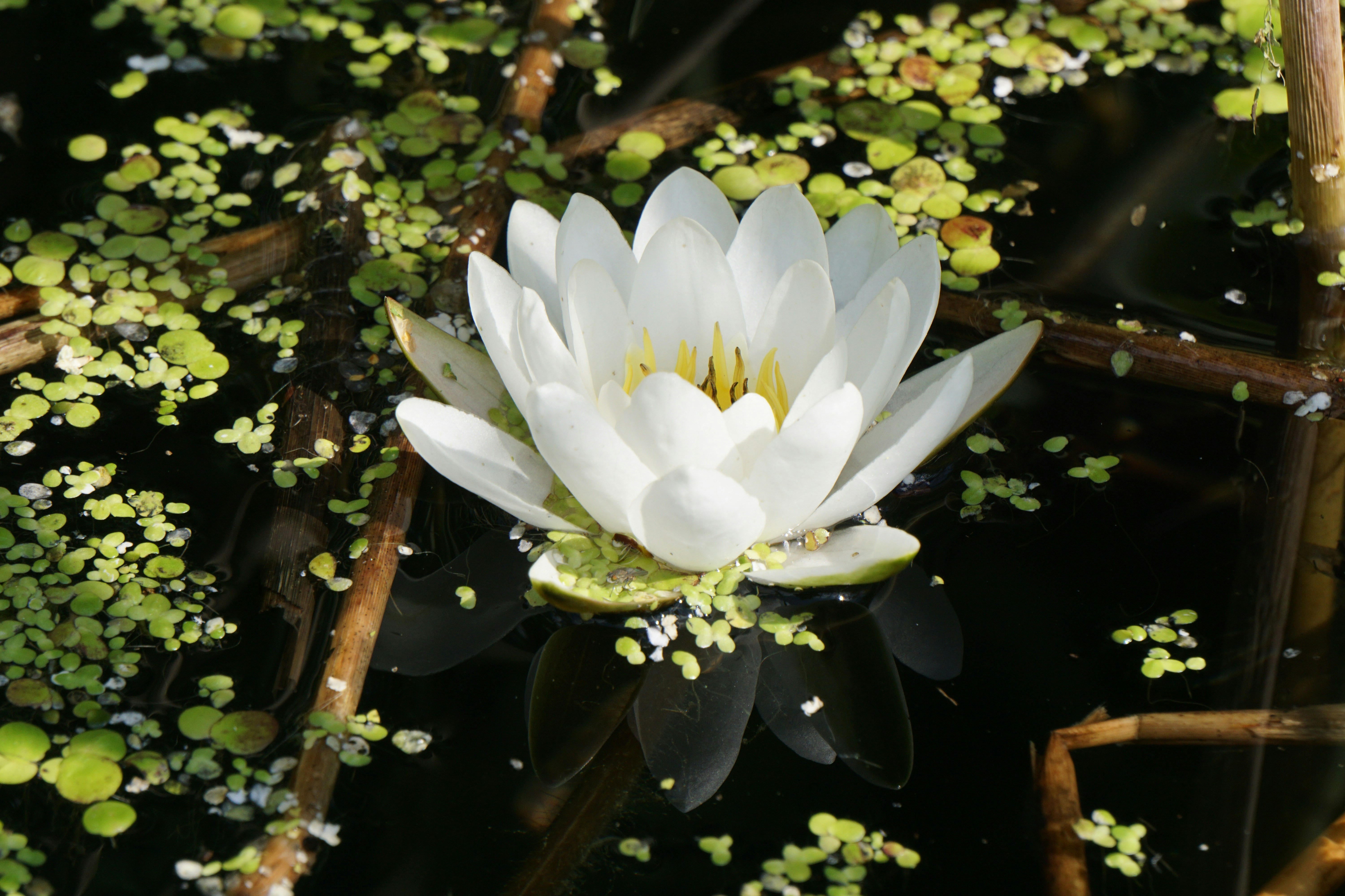 Photo by Andreas Haubold with Sony Alpha 6000