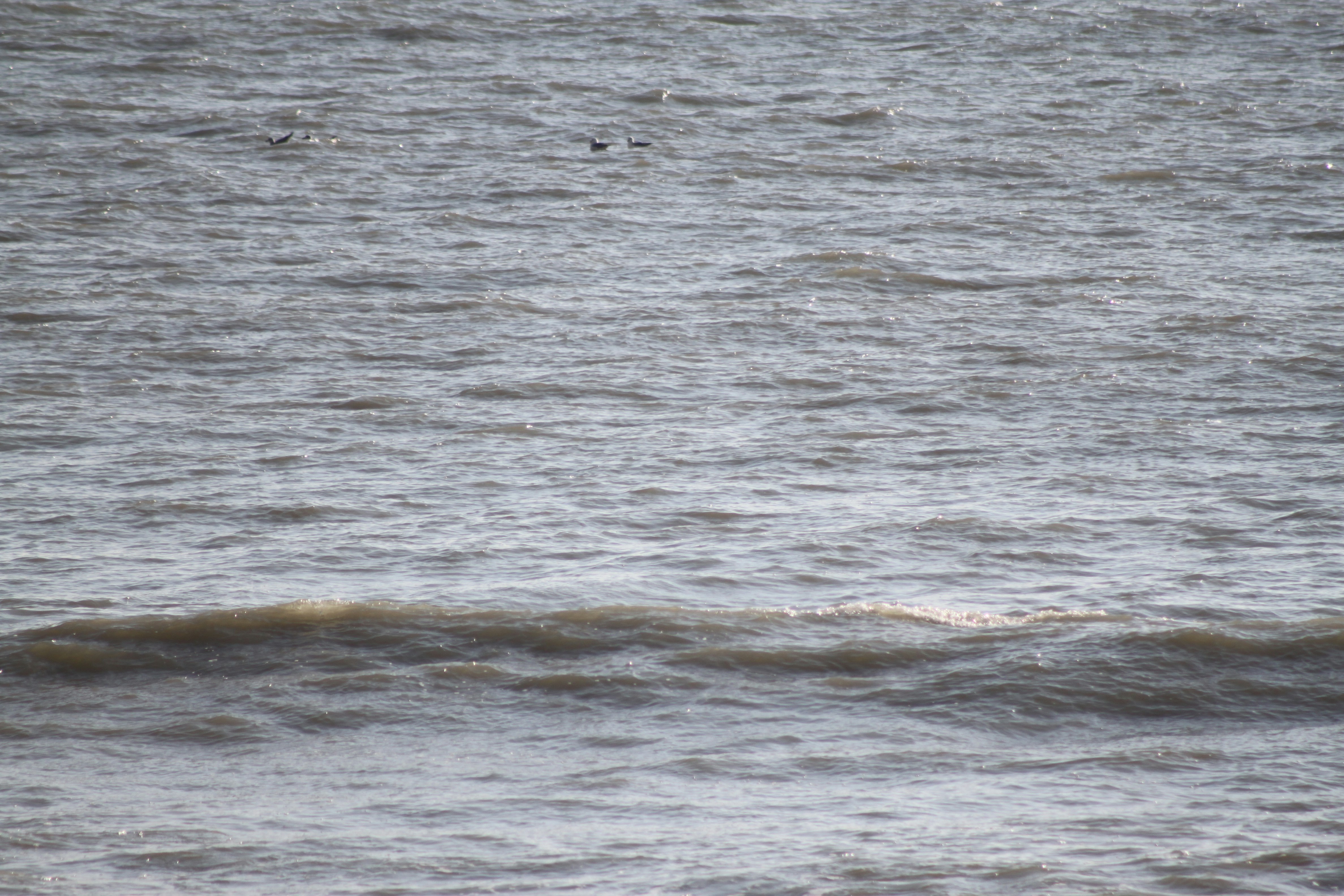 Subtle Crest: Quiet Sea in Soft Light