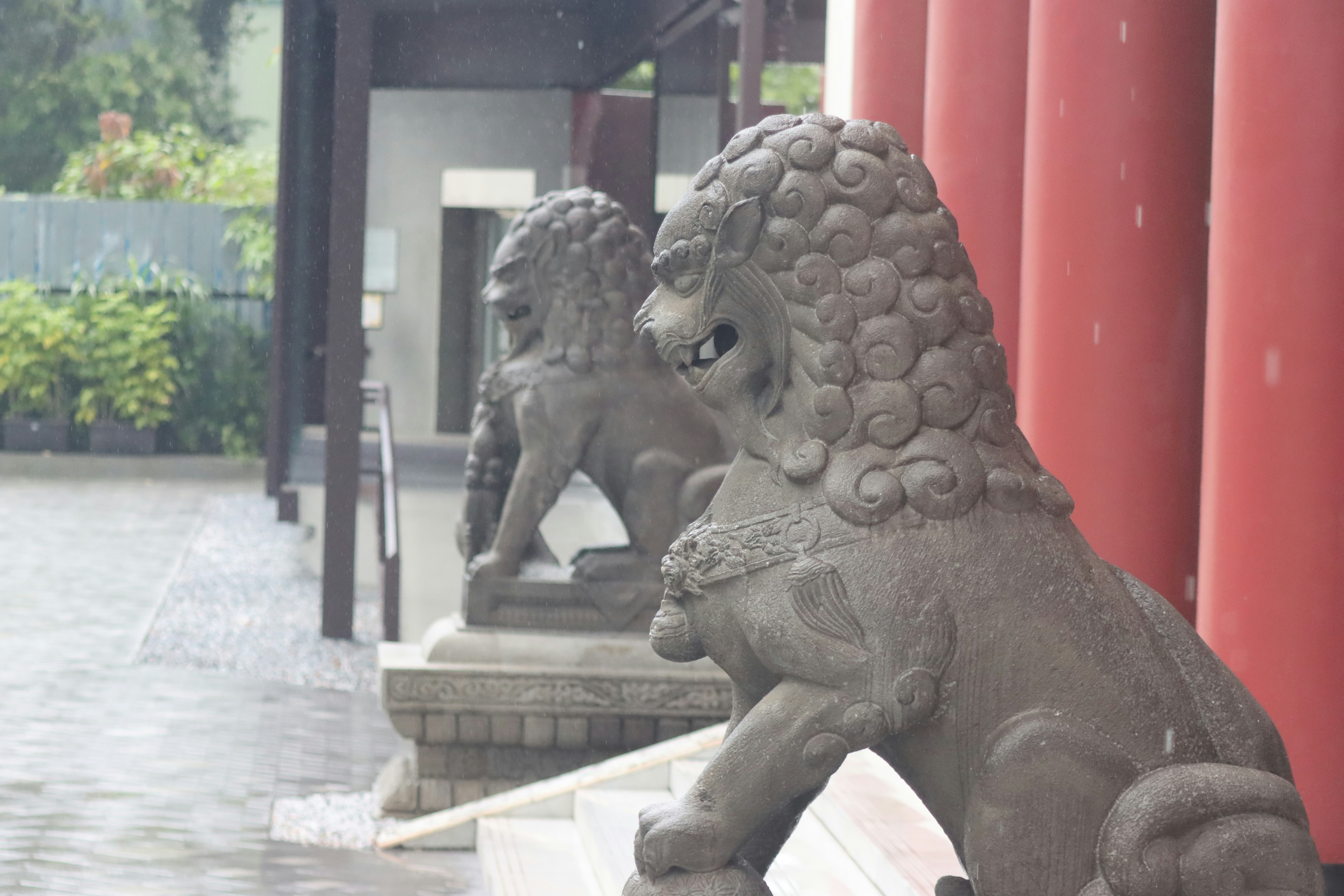 Frame vs. Stature - What's the Difference? | This vs. That