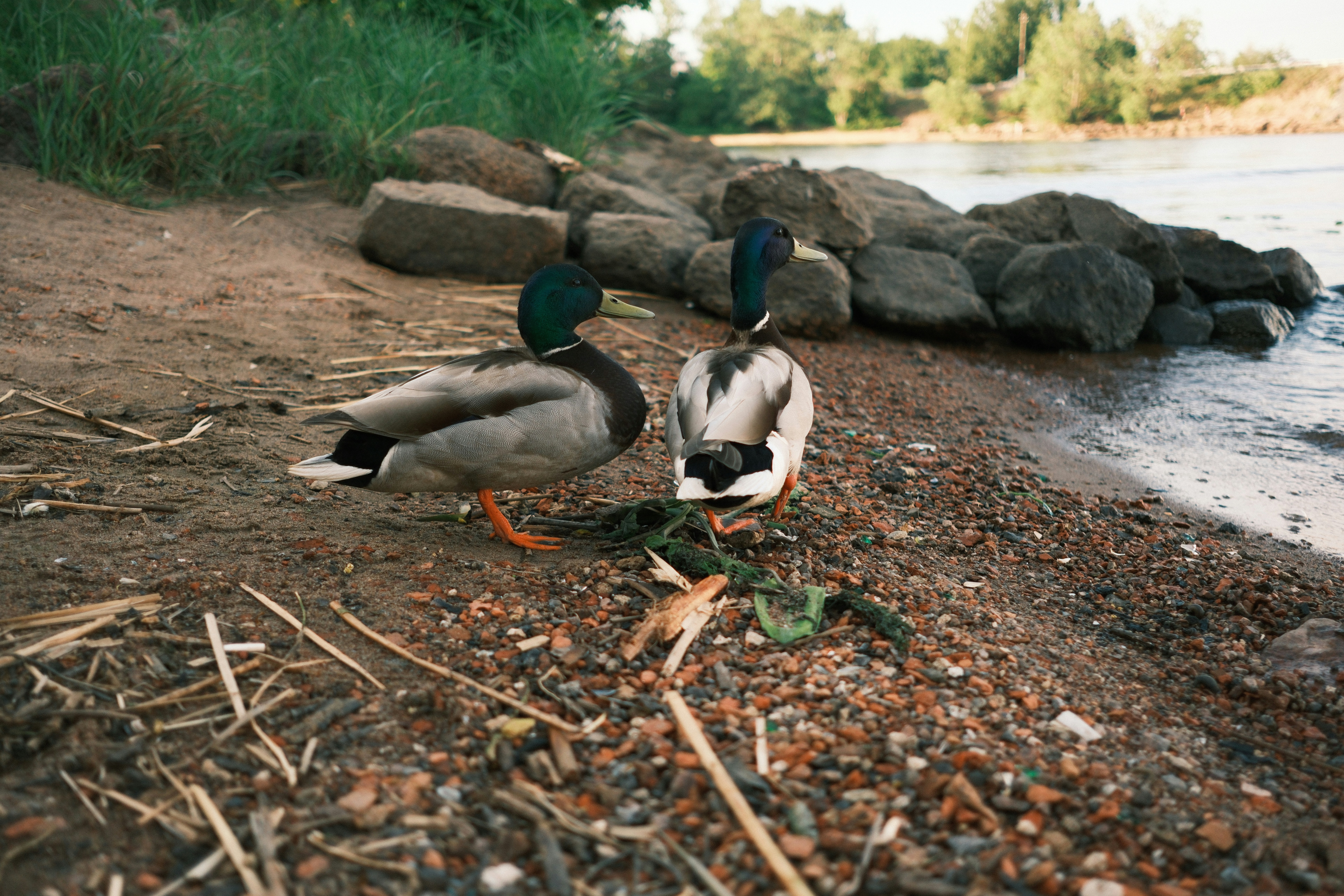 Photo by Stas Muravev with Fujifilm X-T5