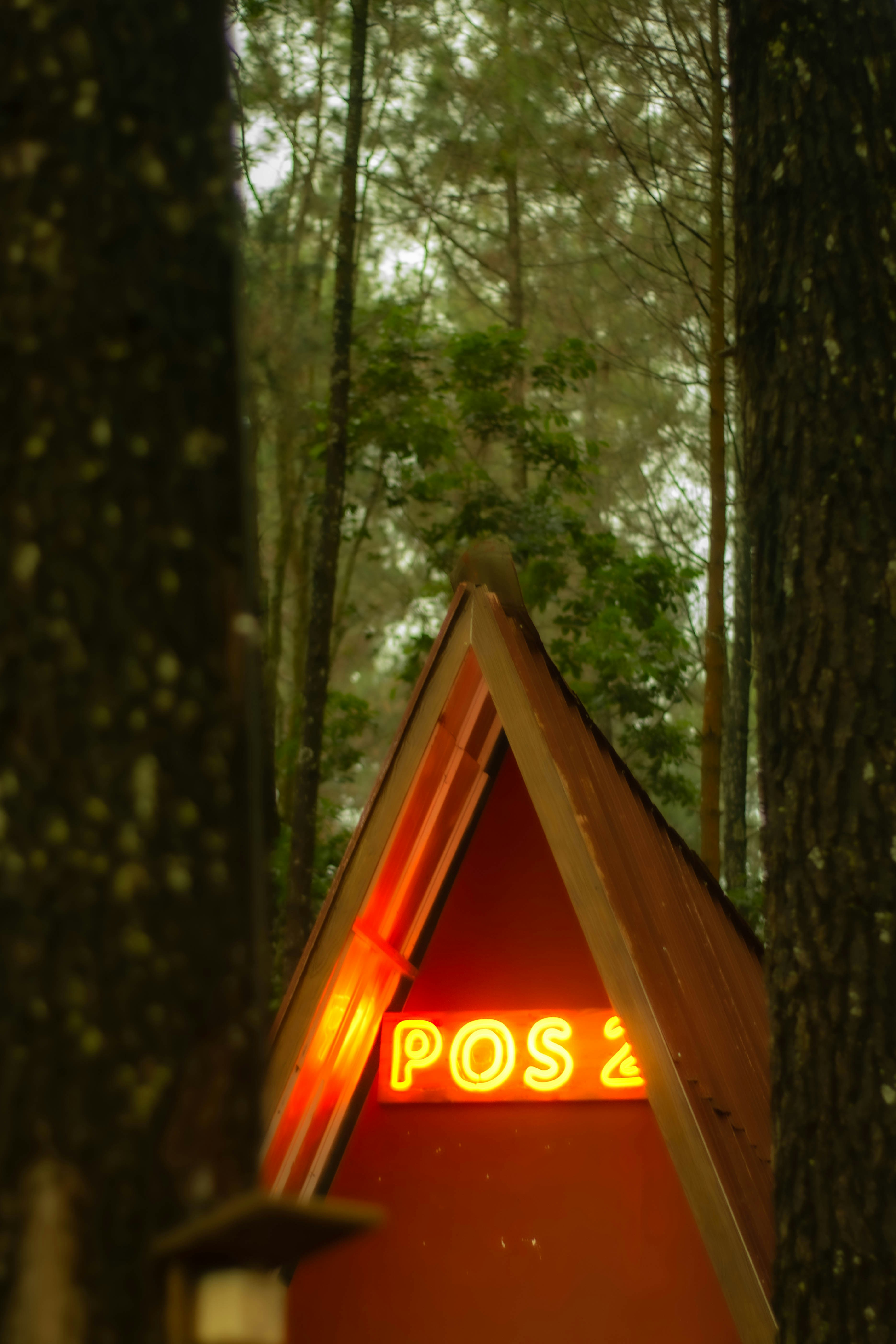 Neon Shelter Among Pines: An A-Frame Glow