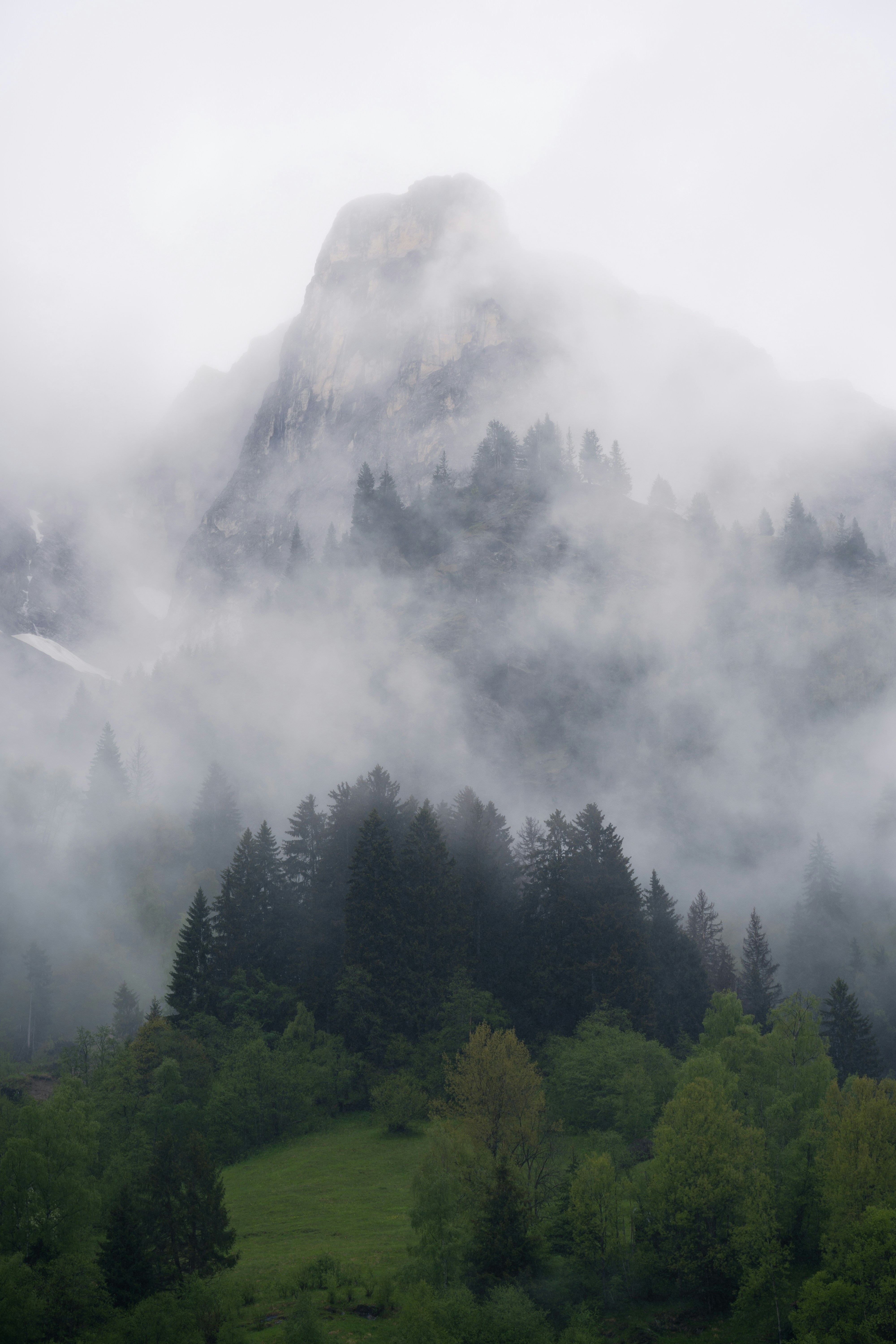 A mountain covered in fog with trees in the foreground photo – Free ...