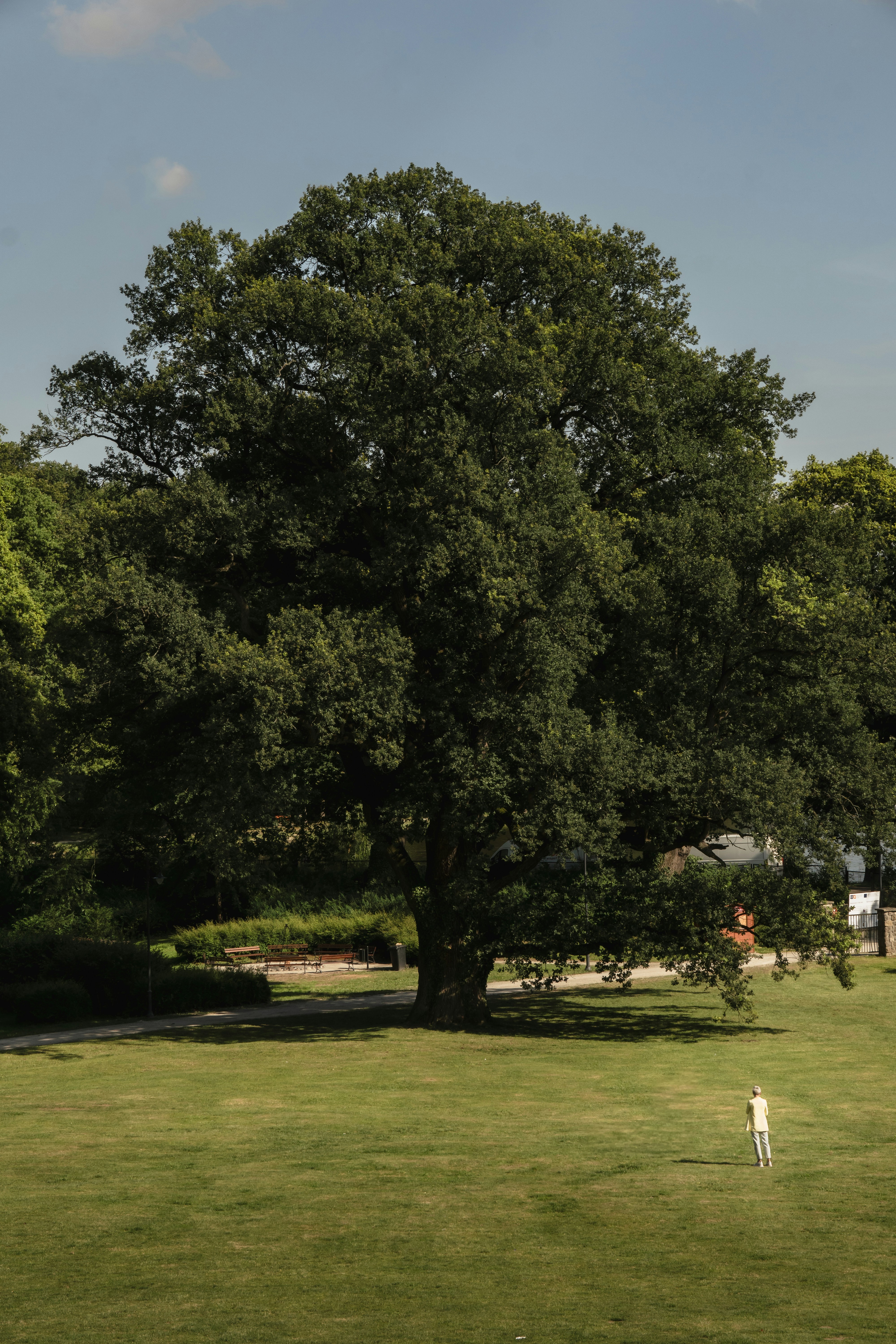 Photo by Ruslan Babich with SONY ZV-E10