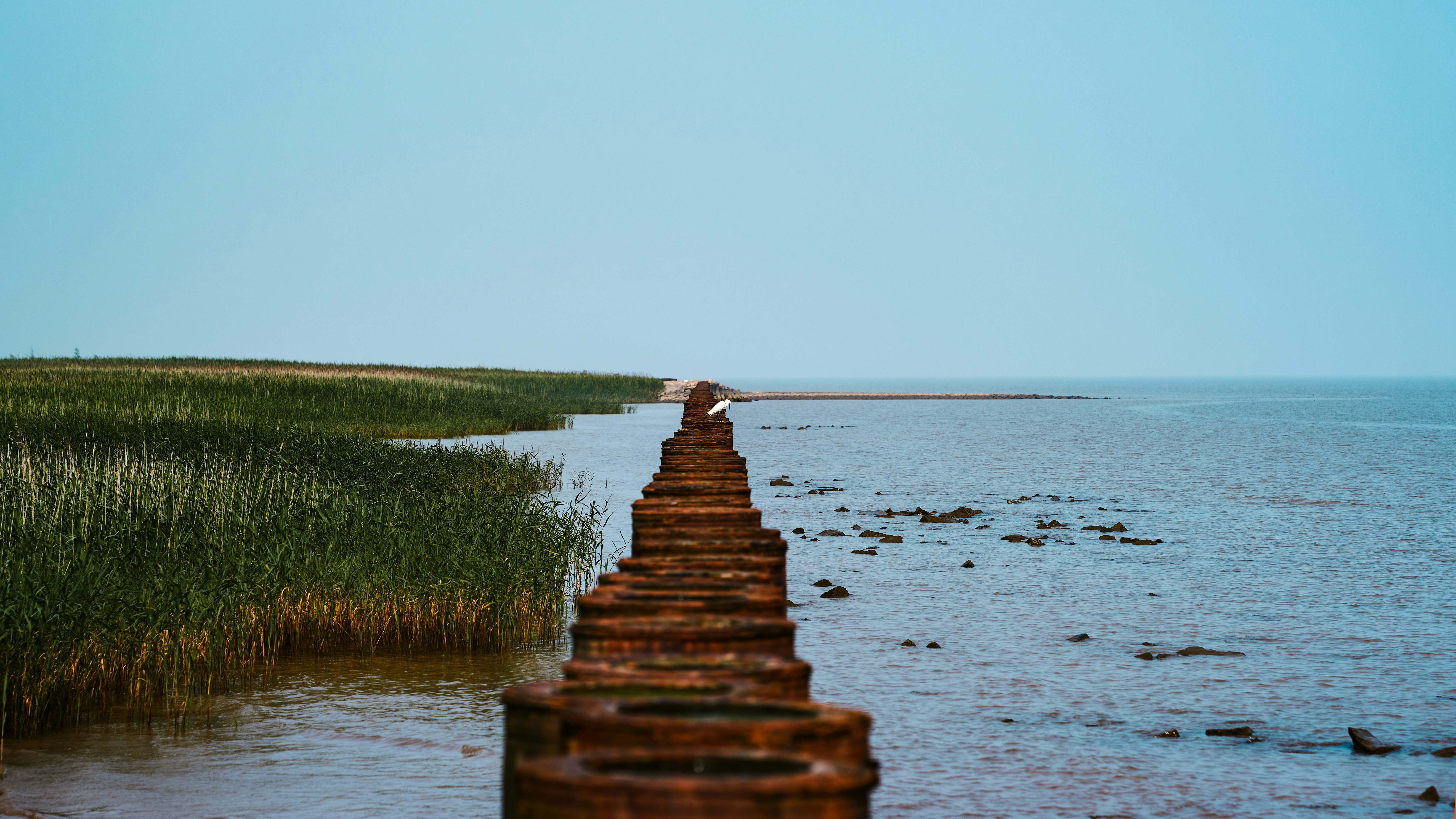 Rusted Breakwater to the Quiet Horizon Across Marsh and Sea