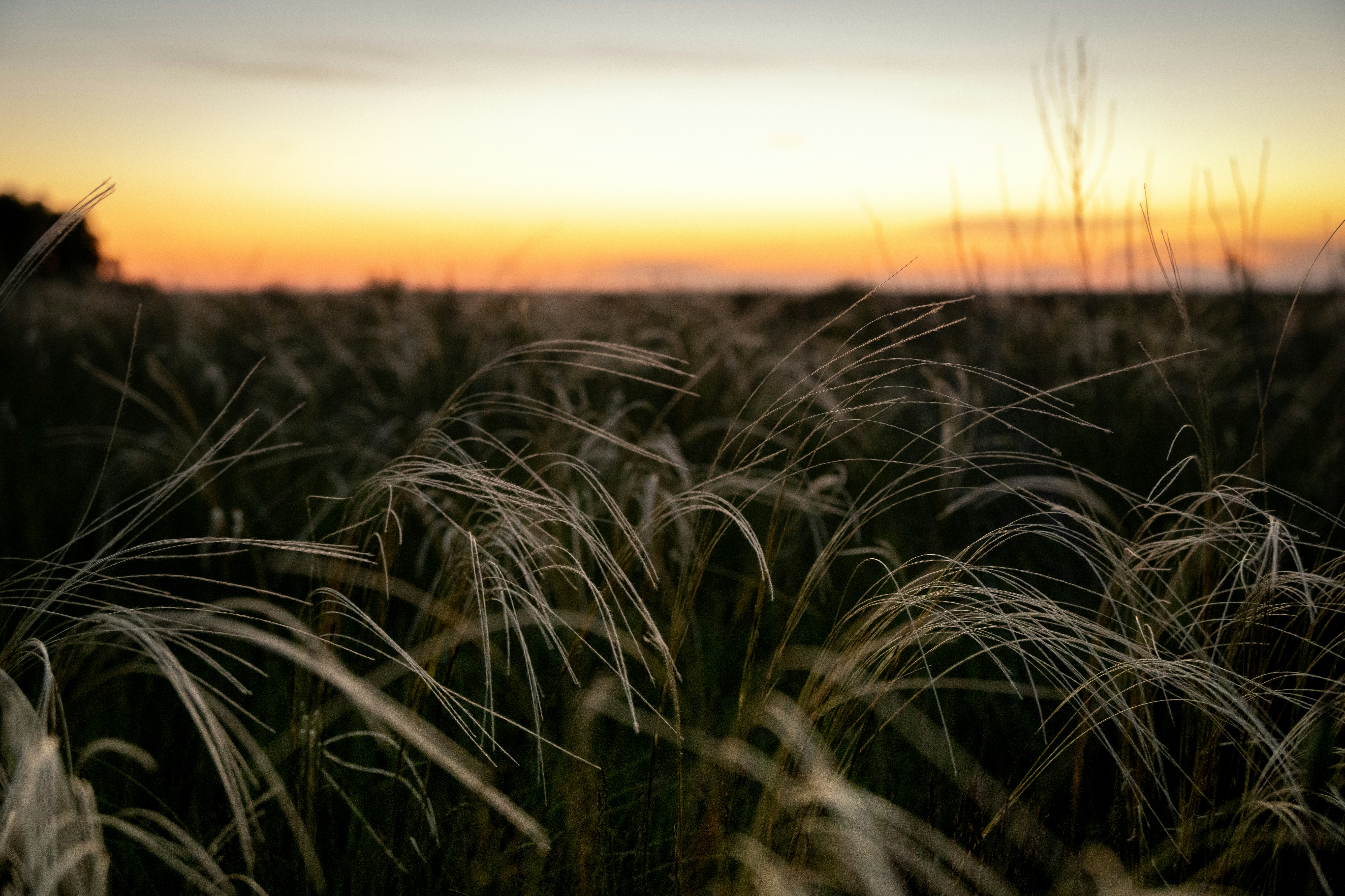 Photo by Anton Astapenko with Nikon Z7