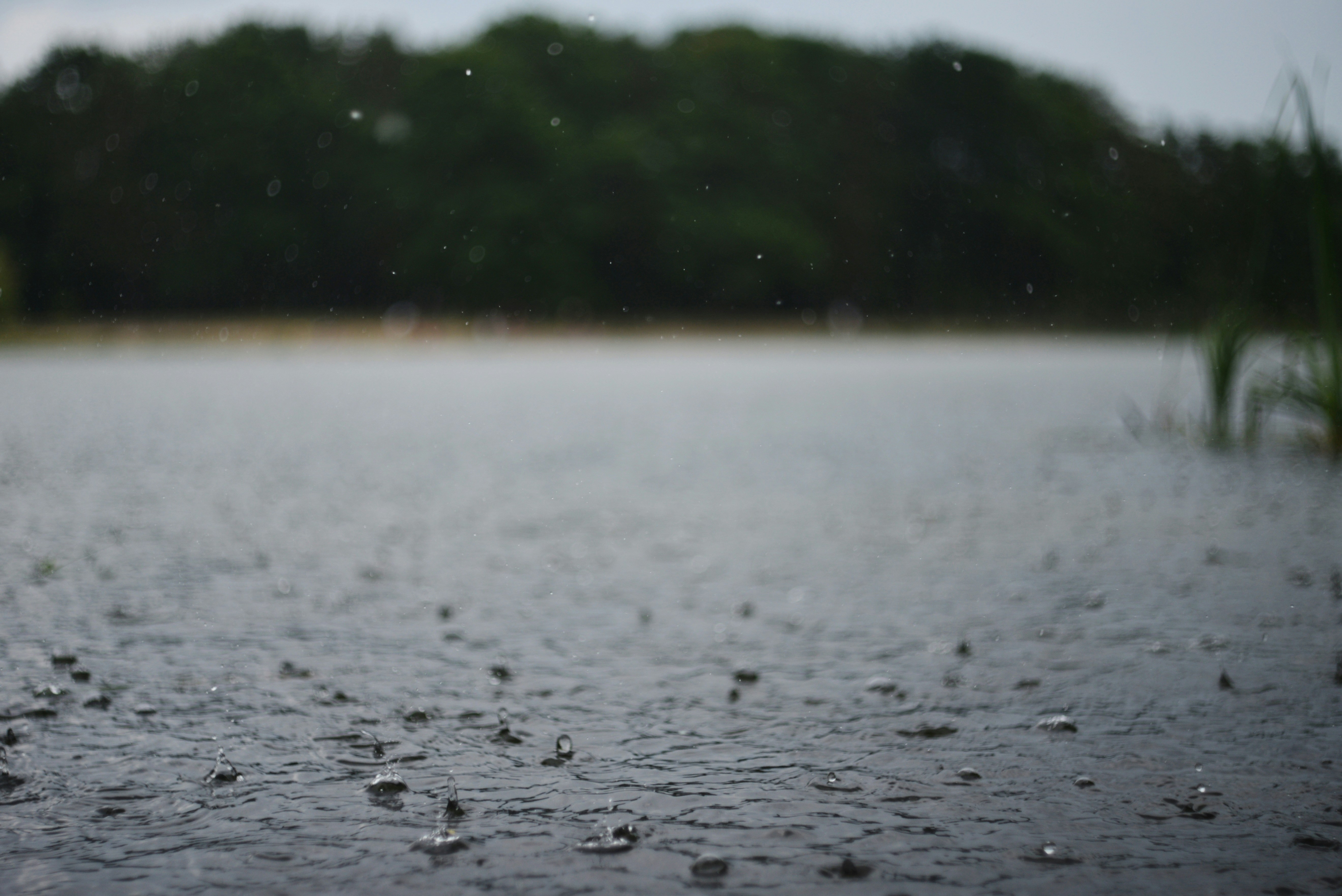 A bunch of rain drops on the ground photo – Free Grey Image on Unsplash