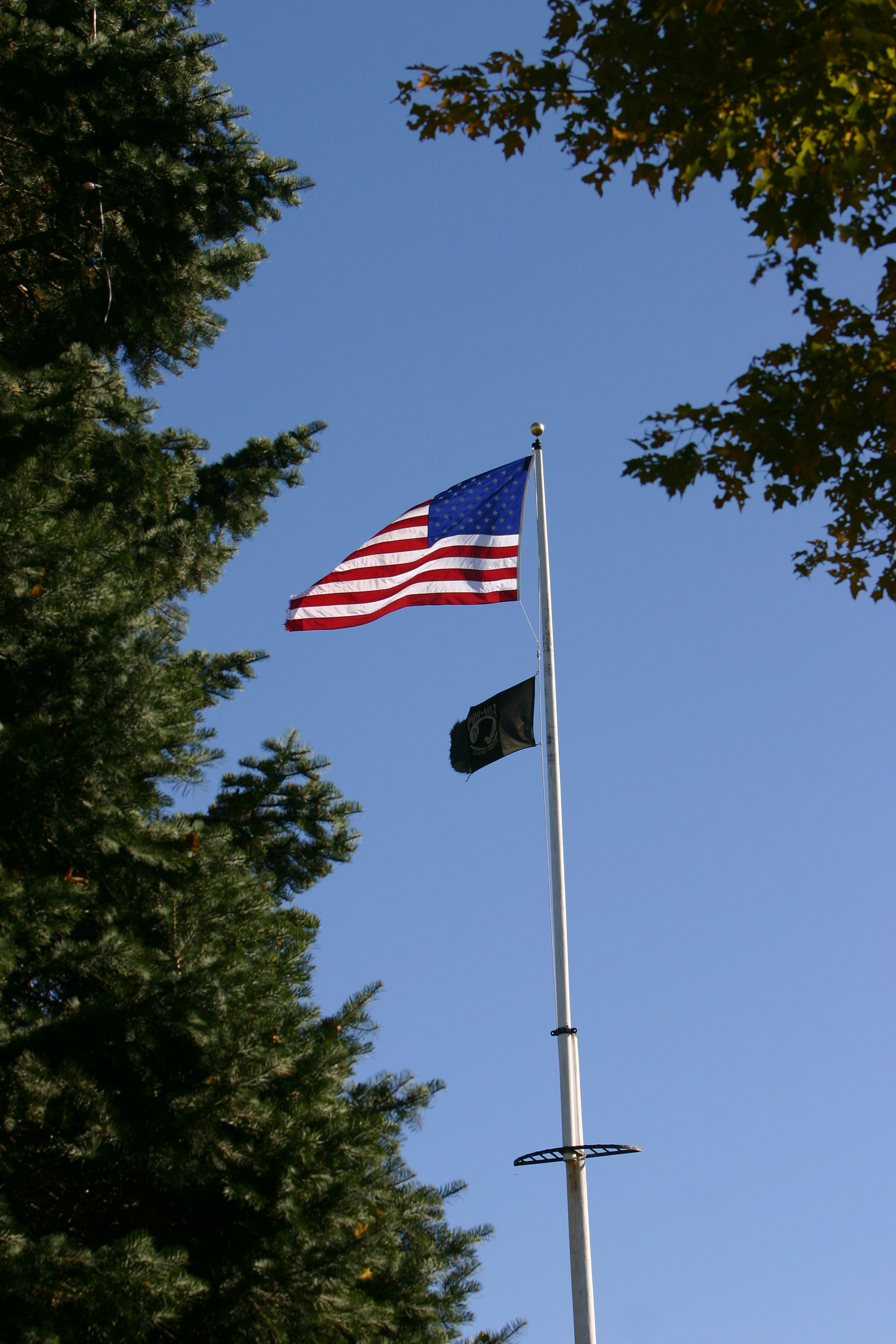 Flagpole Reverie: American Flag Framed by Pine and Sky