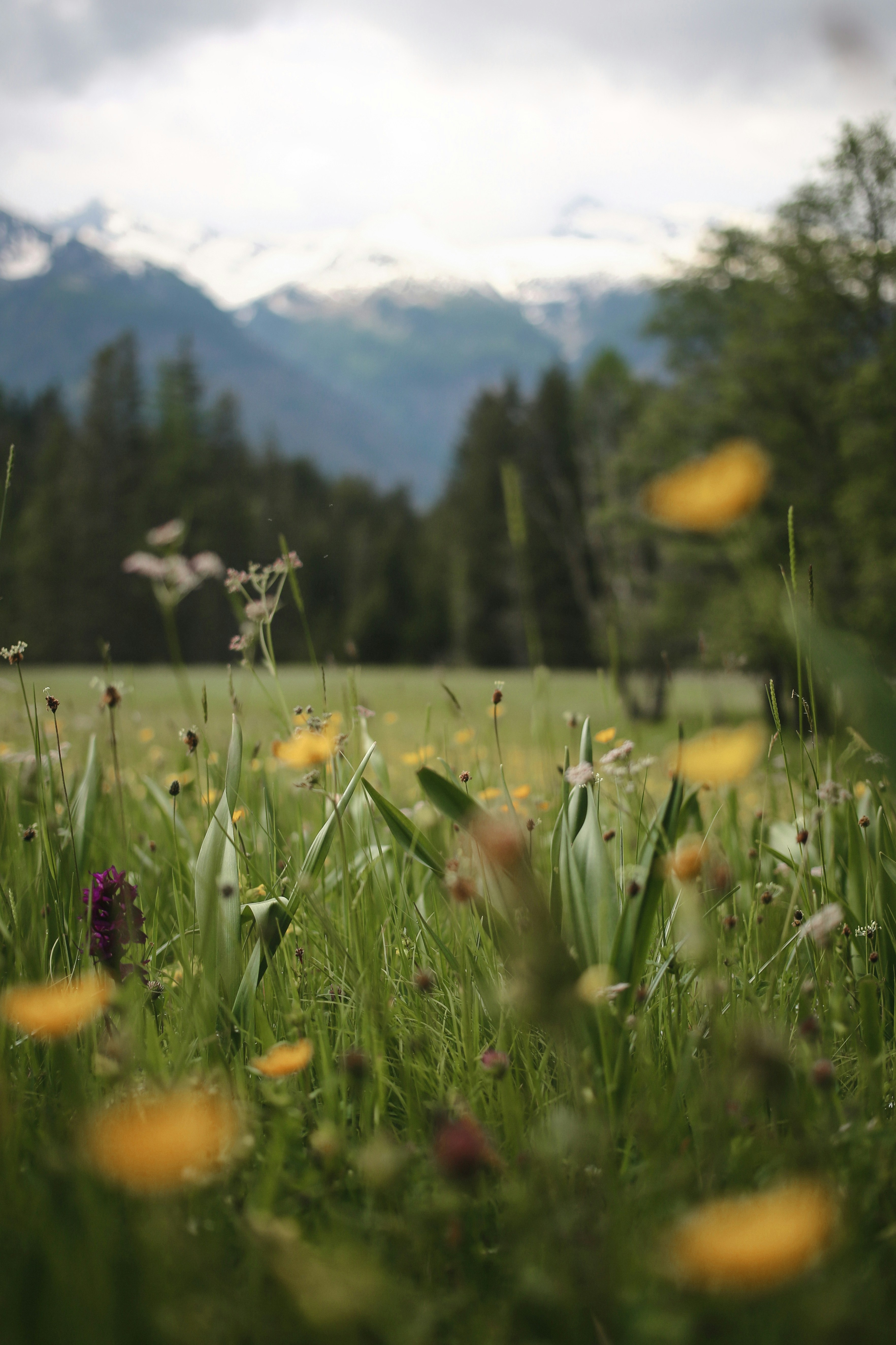 Anna Scarfiello (@little_anne) | Unsplash 사진 커뮤니티