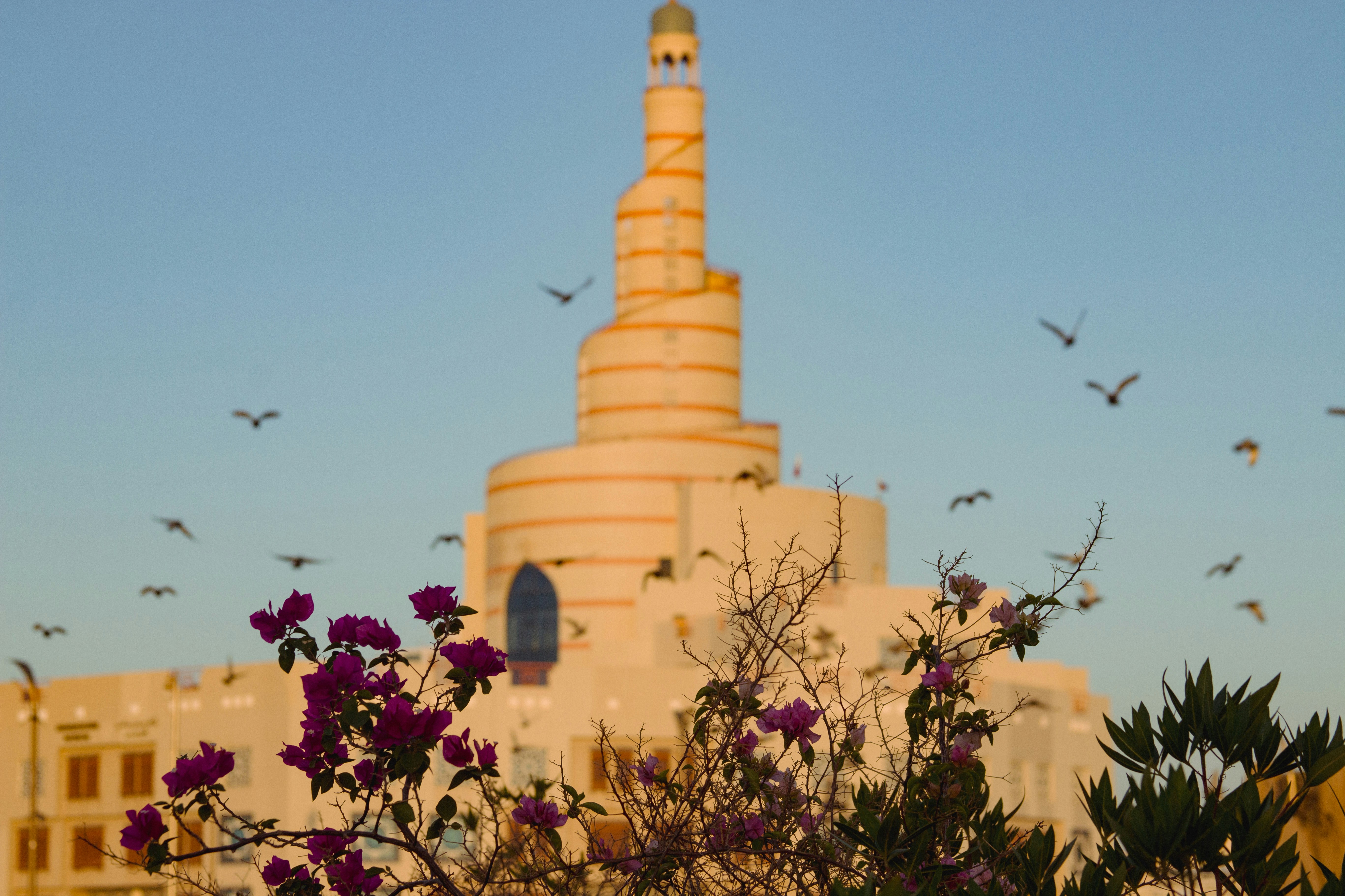 Photo by thomas with Canon EOS 70D