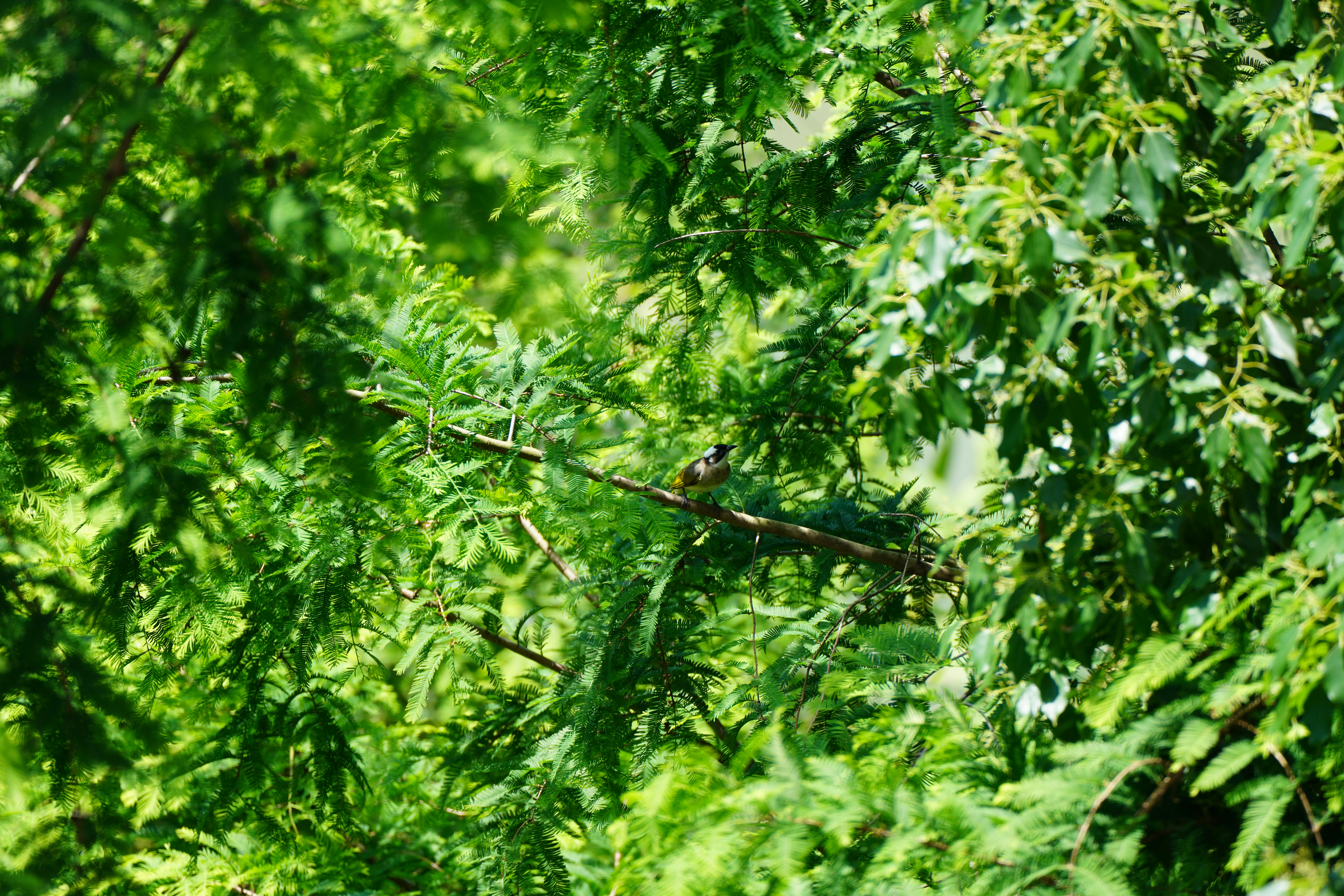 Lin Lone (@linlone) | Unsplash Photo Community