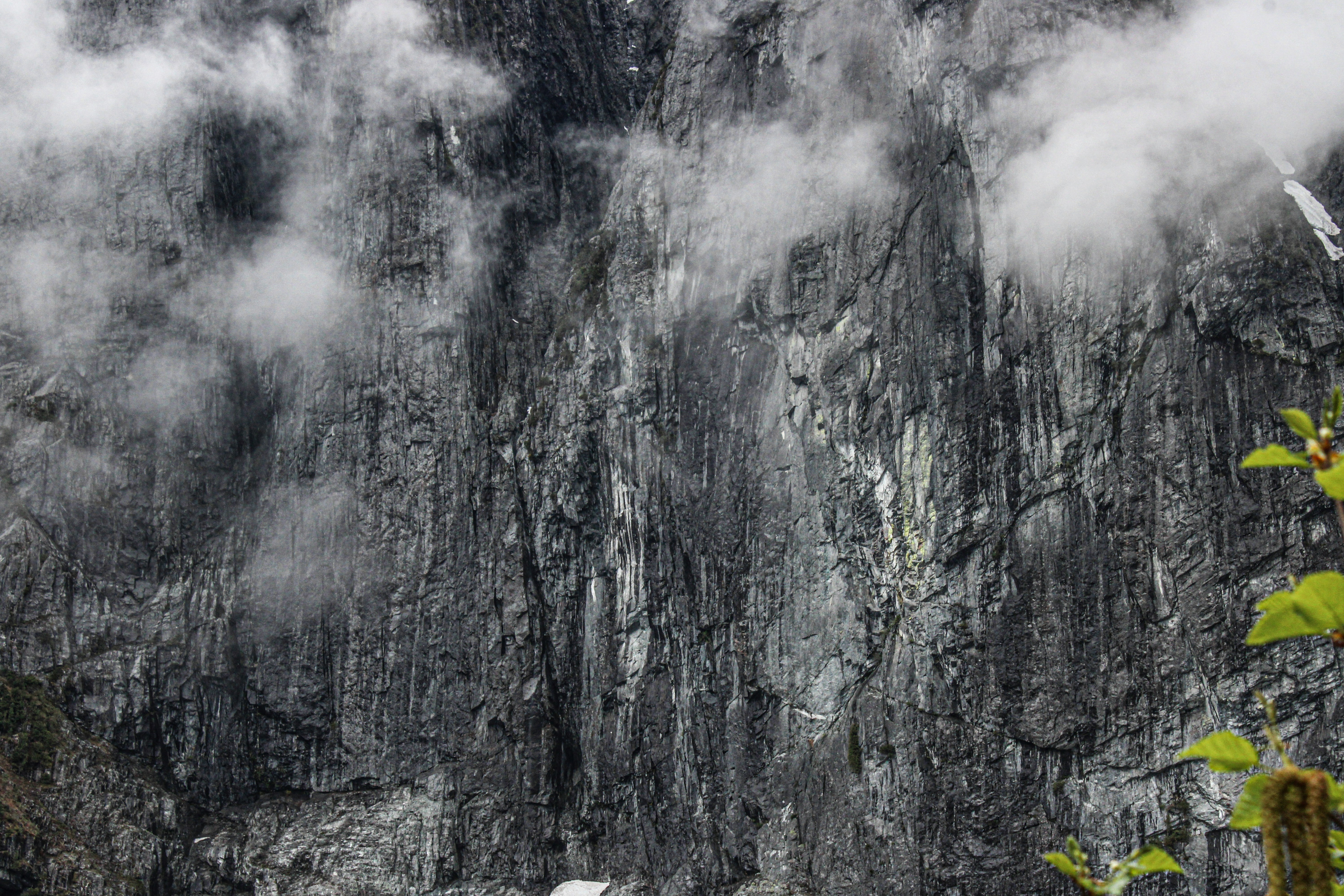 Veins of Granite: Mist-Clad Cliff Emerges from the Forest Edge