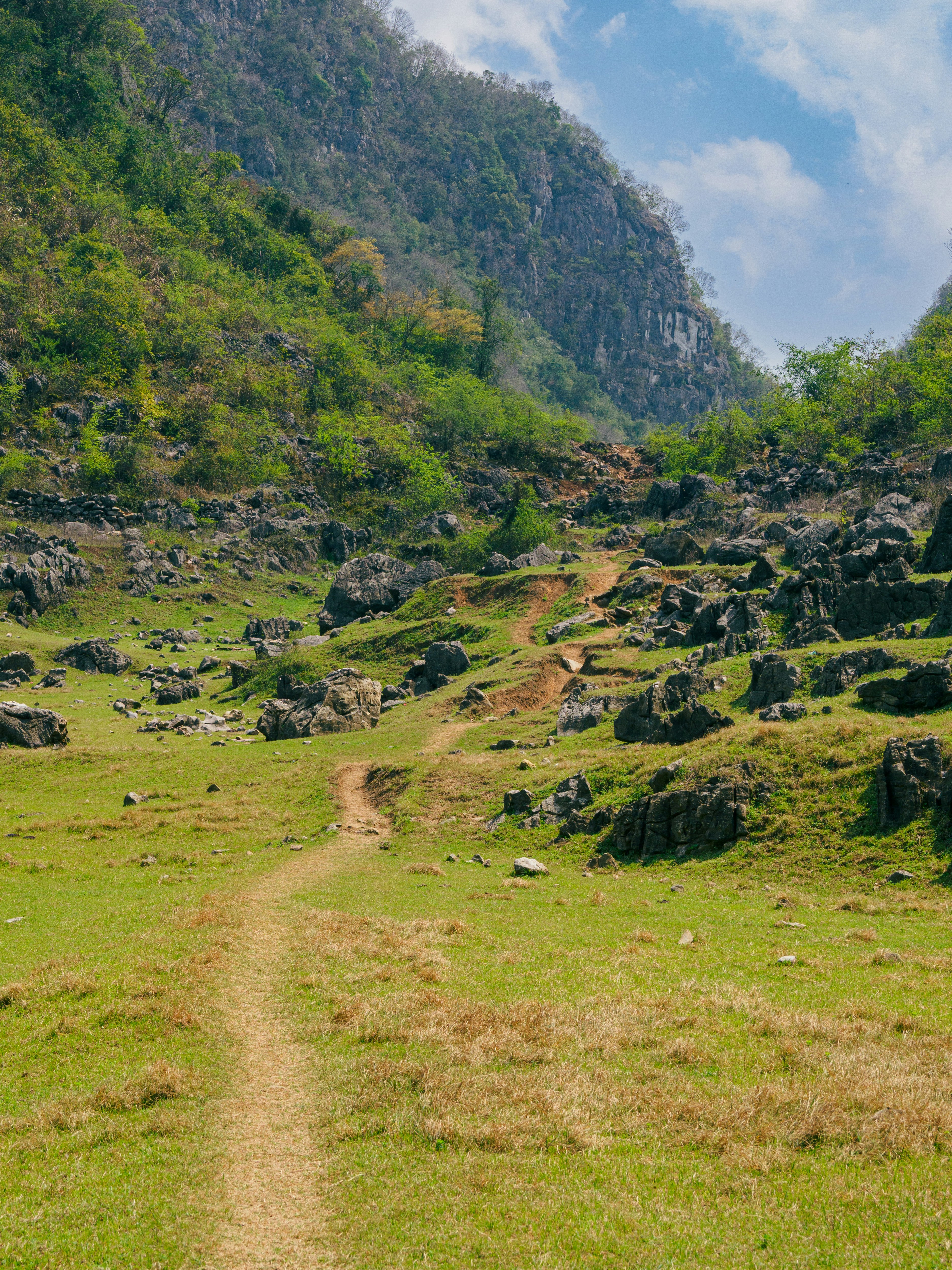 A dirt path in the middle of a grassy field photo – Free Travel Image ...