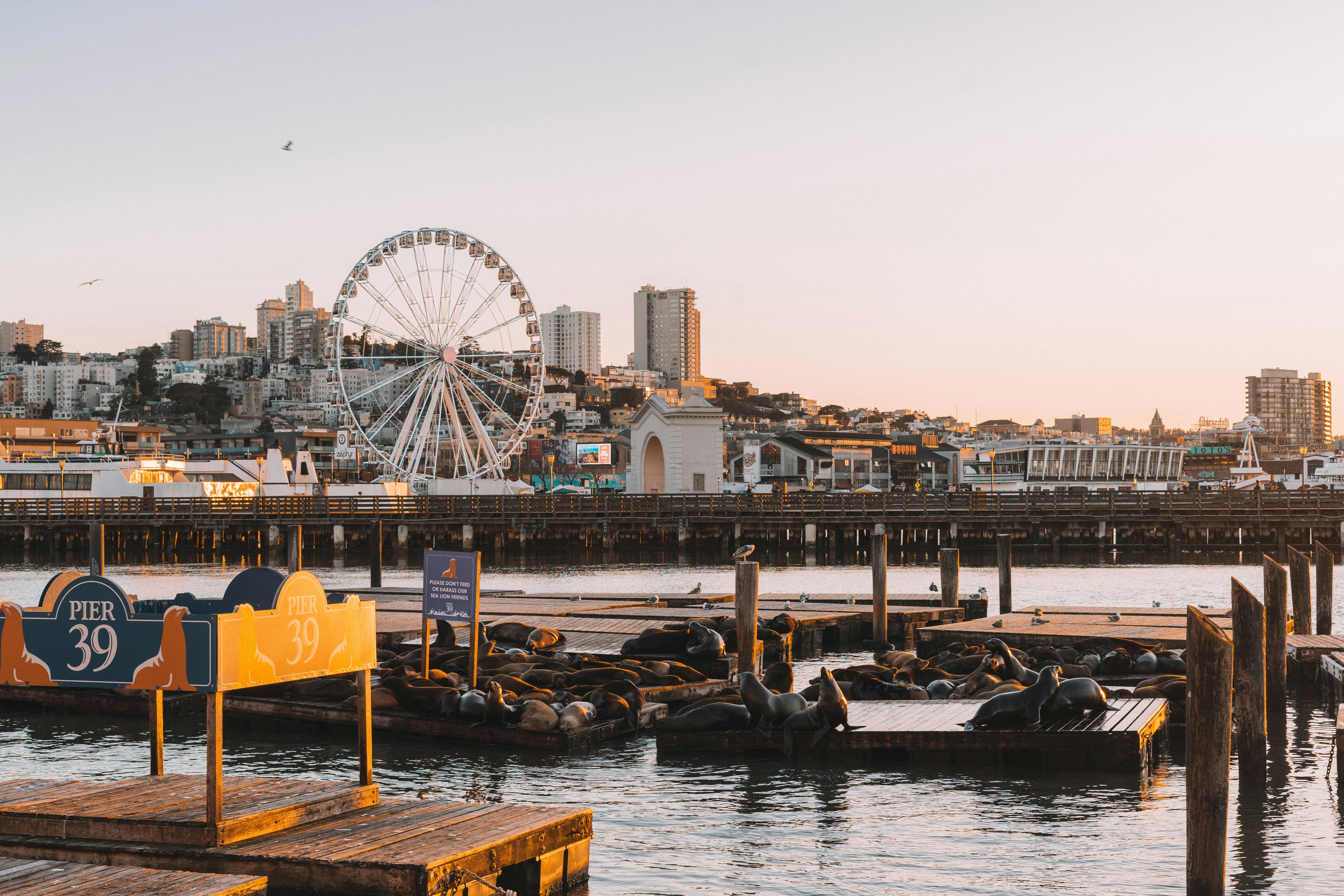 Un muelle con una noria al fondo foto – Imagen de Agua gratuita en Unsplash