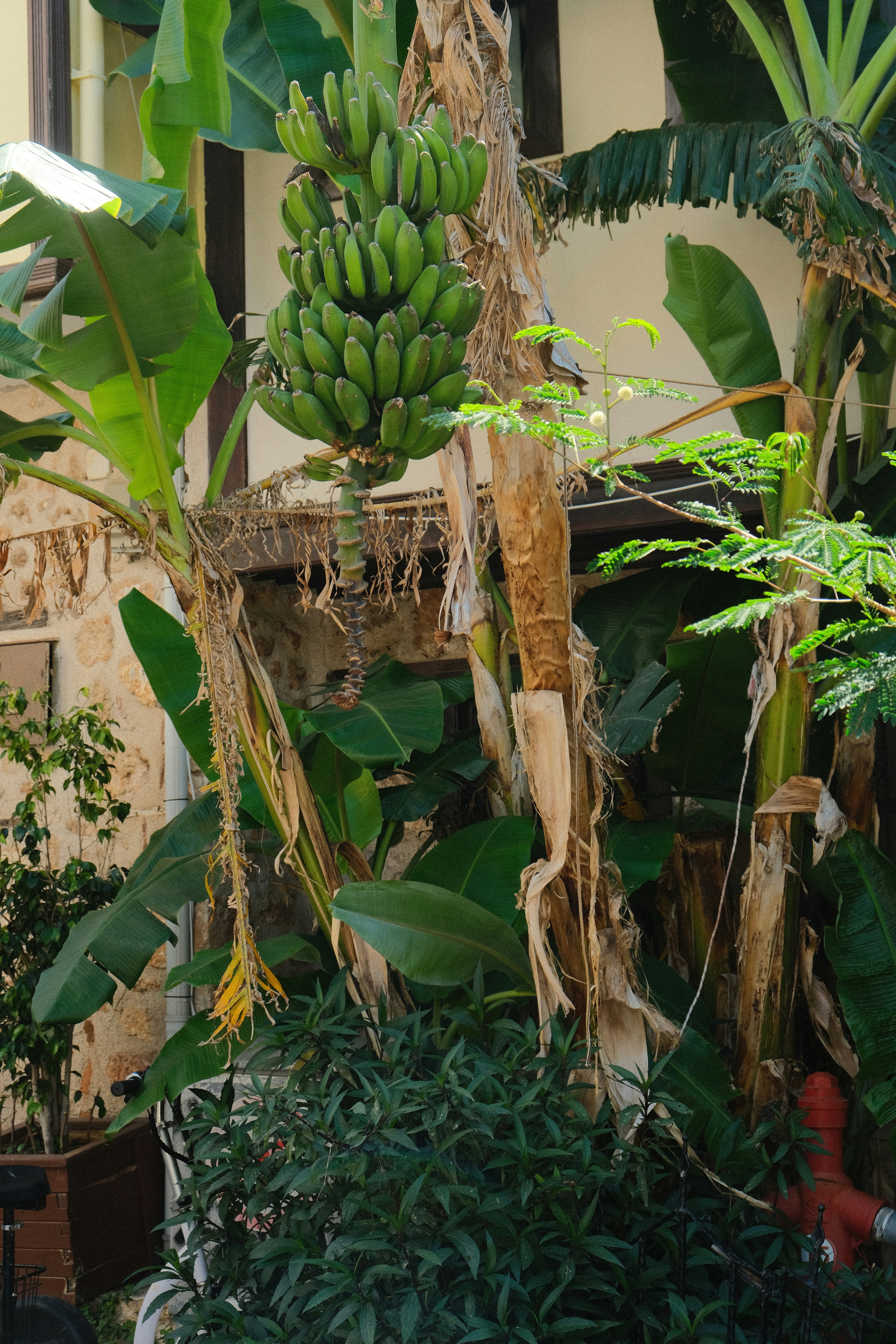 Photo by Jae with Fujifilm X-T30 II