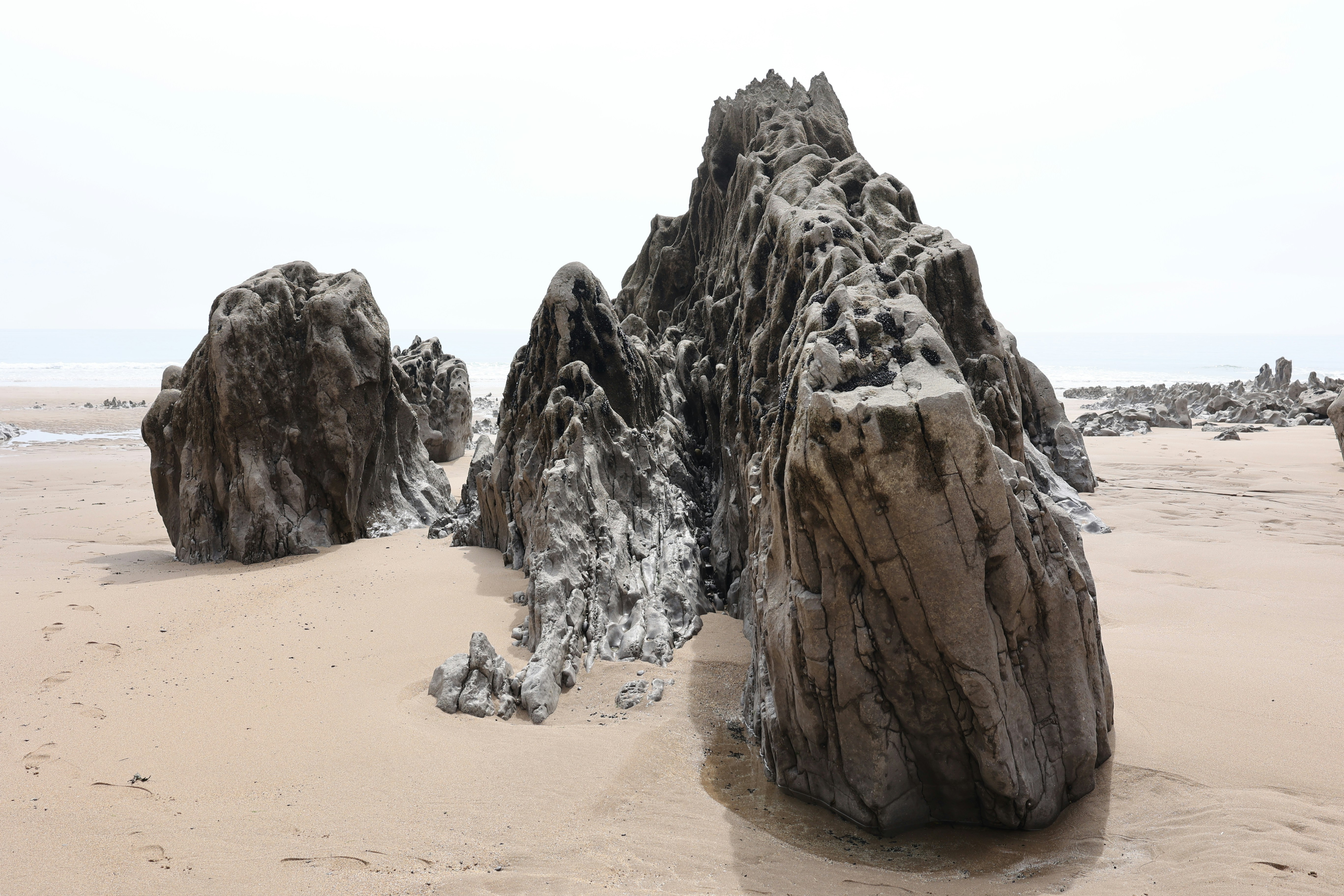 Nature's Sculpted Monoliths on the Shoreline