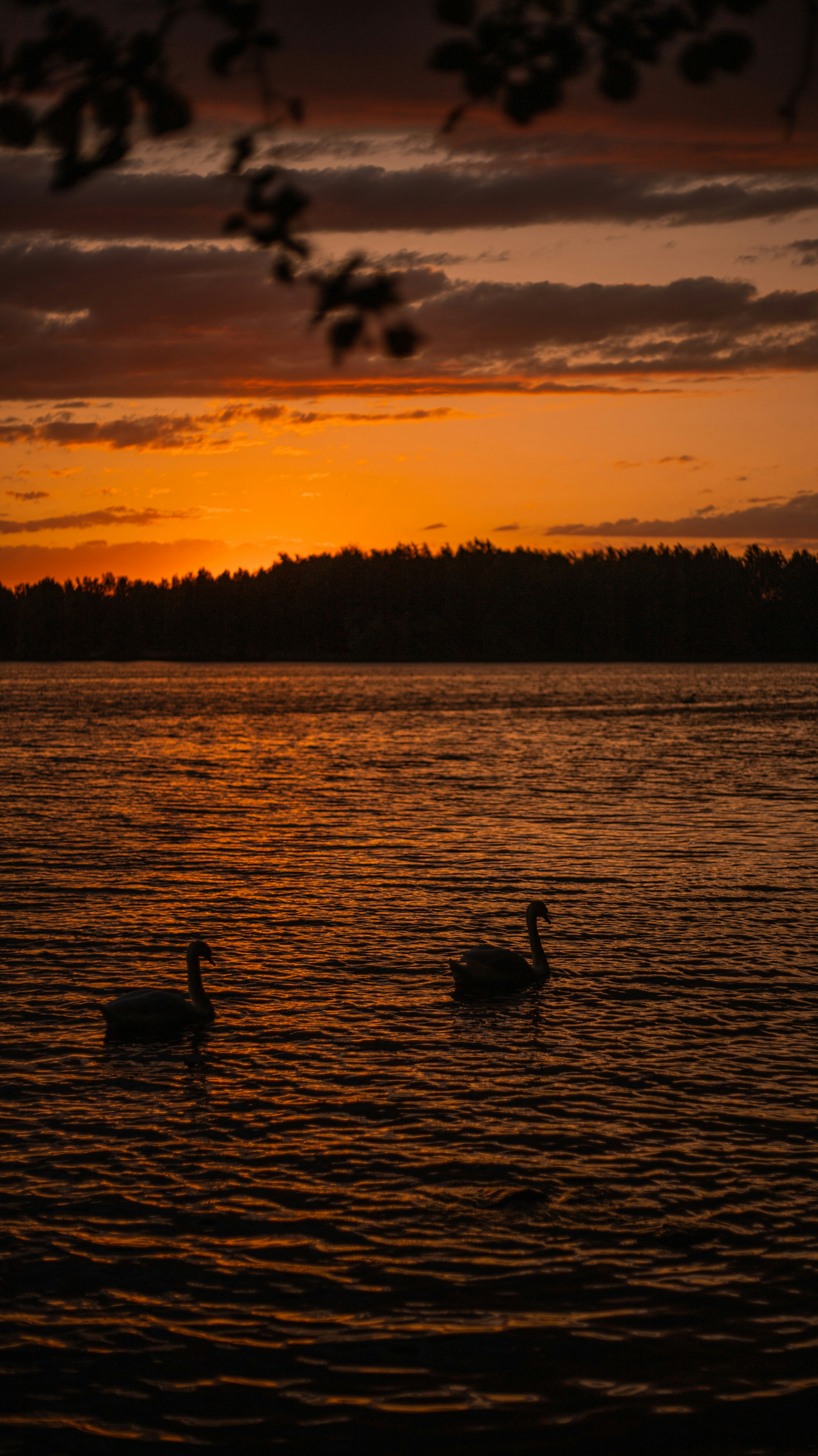 Twin Silhouettes on a Fiery Lake at Dusk